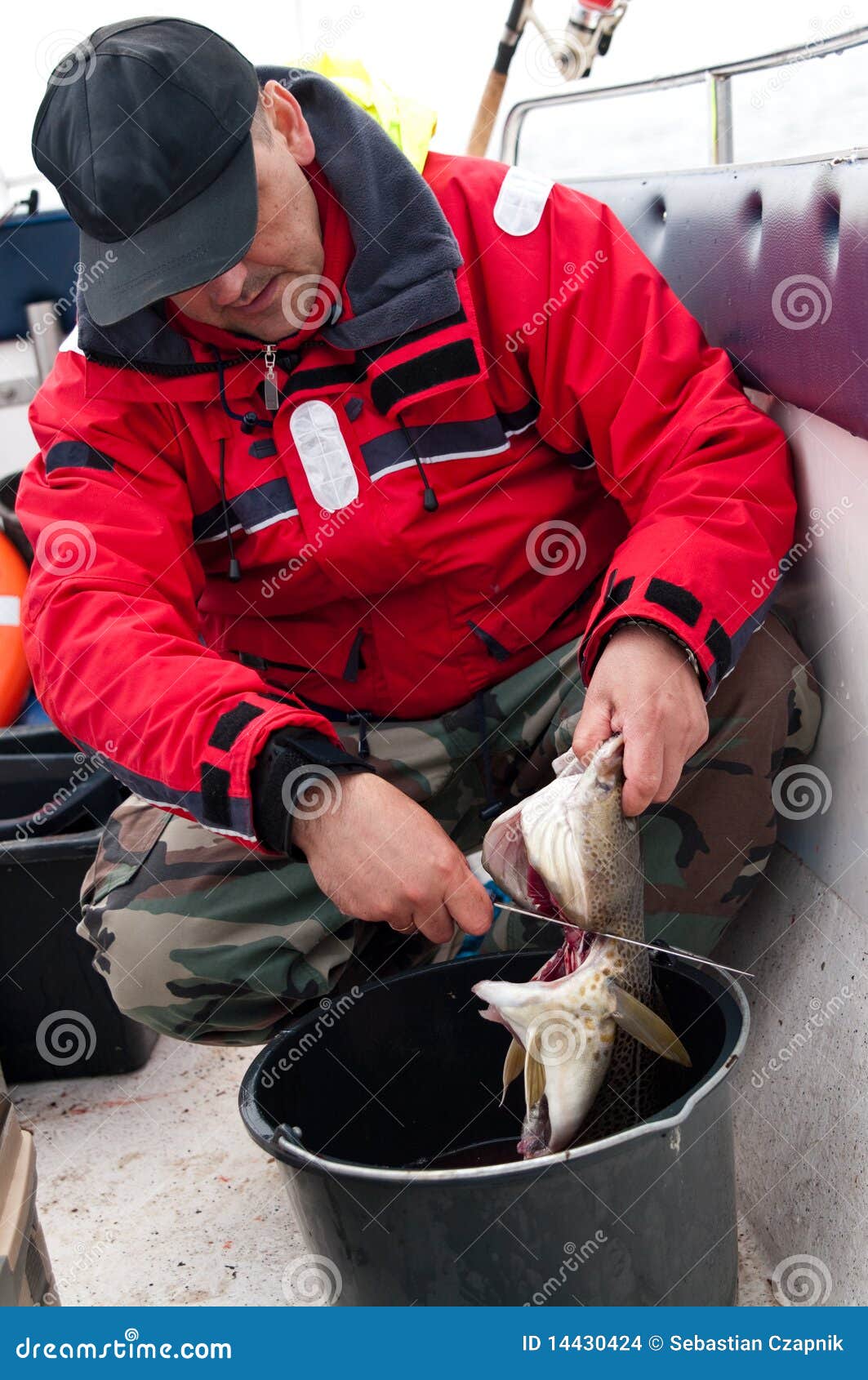 Gutting stock photo. Image of disemboweling, boat, bucket - 14430424