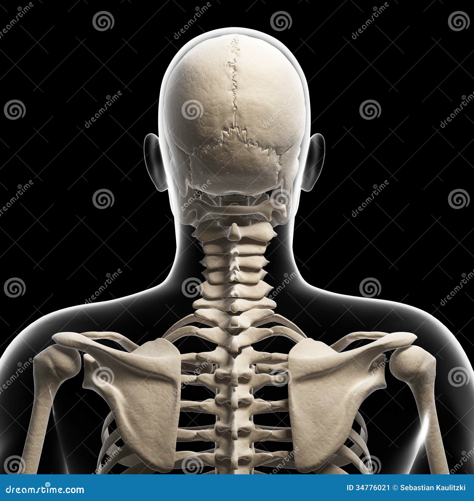 Guy Bending His Neck Royalty-Free Illustration | CartoonDealer.com ...