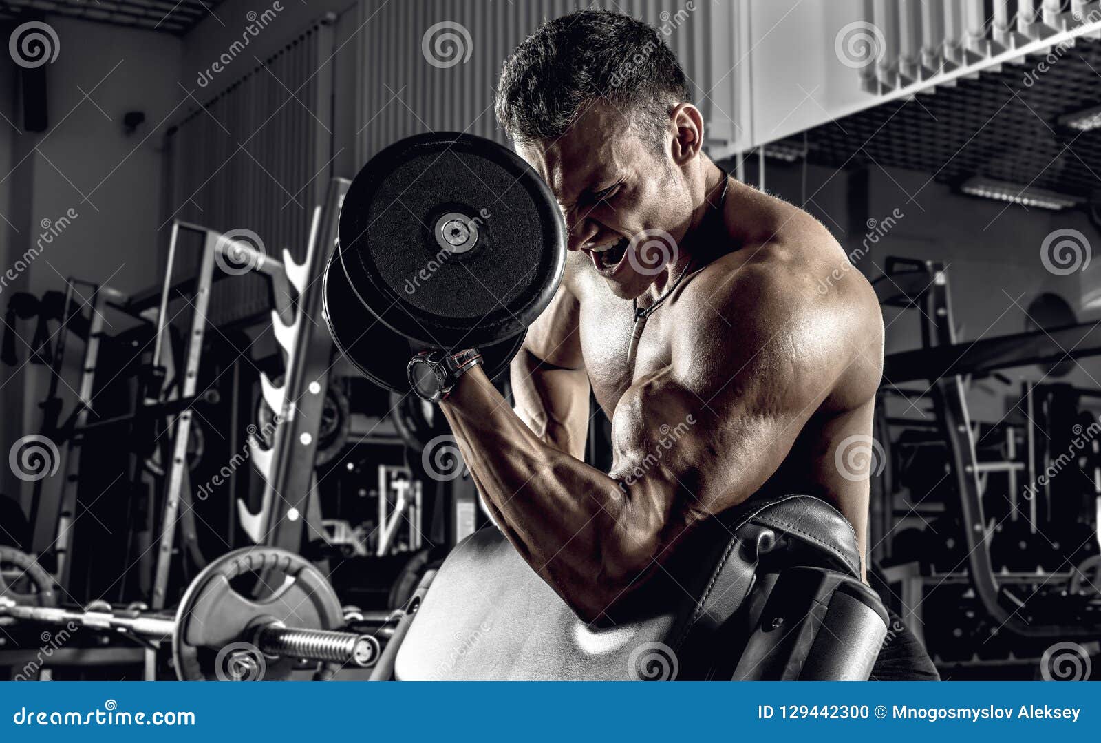 Guy Bodybuilder with Dumbbell Stock Photo - Image of brawny, sportive ...