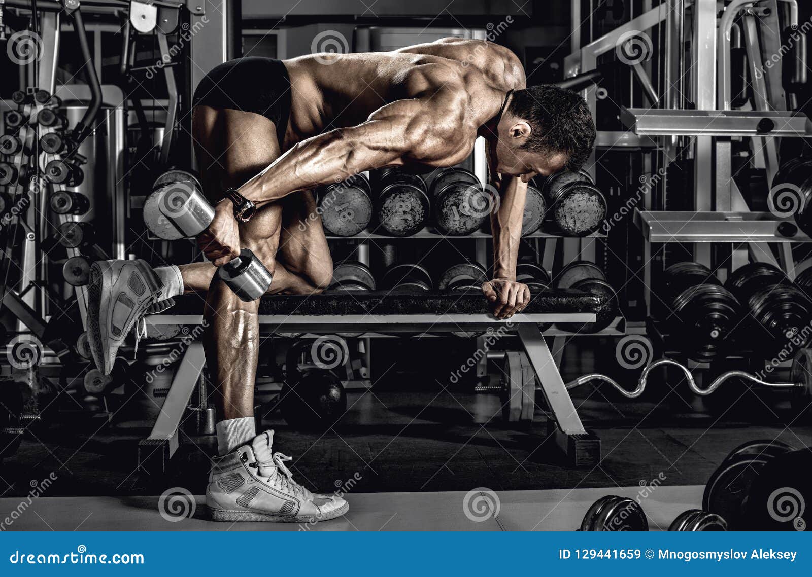Guy Bodybuilder with Dumbbell Stock Image - Image of exercise, muscular ...