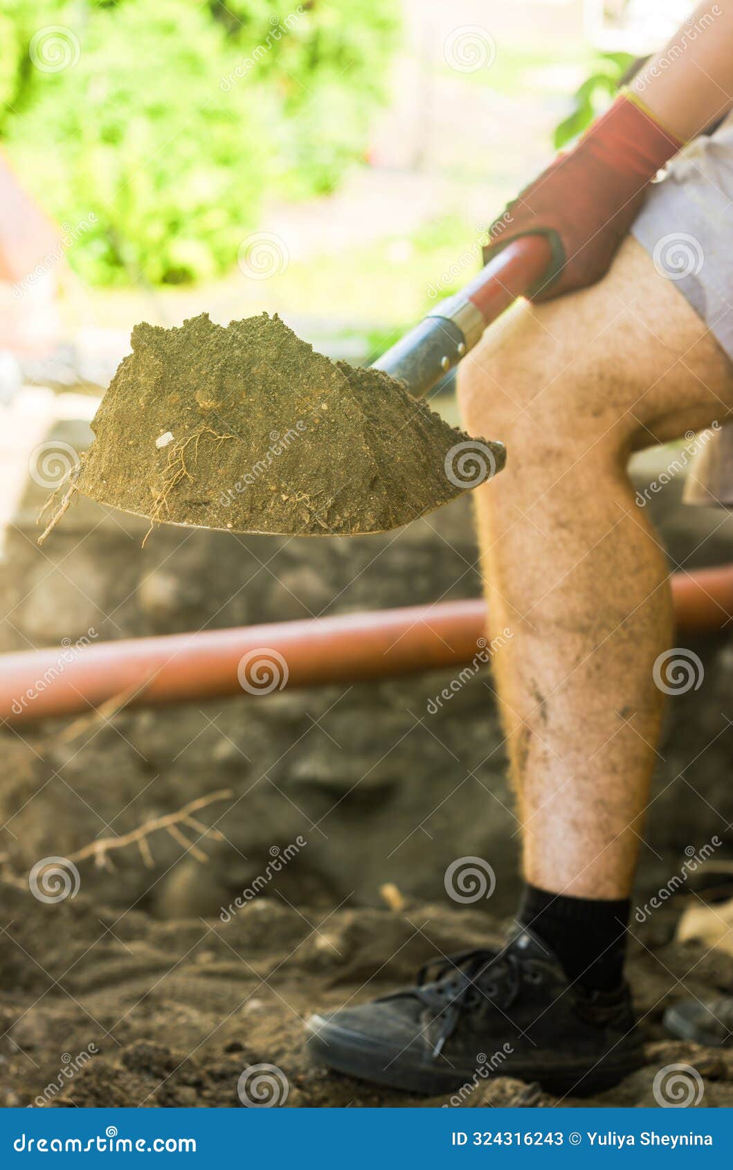 Guy is Digging Ground. Man with Shovel. Digging Up Soil. Work on Land ...