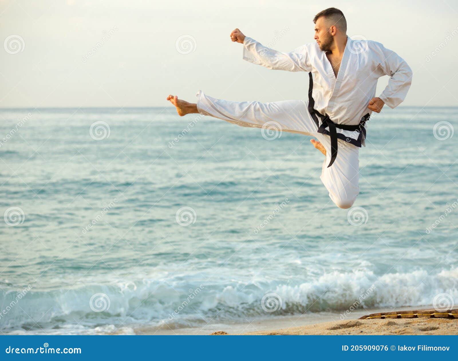 Guy doing karate poses stock photo. Image of human, judo - 205909076