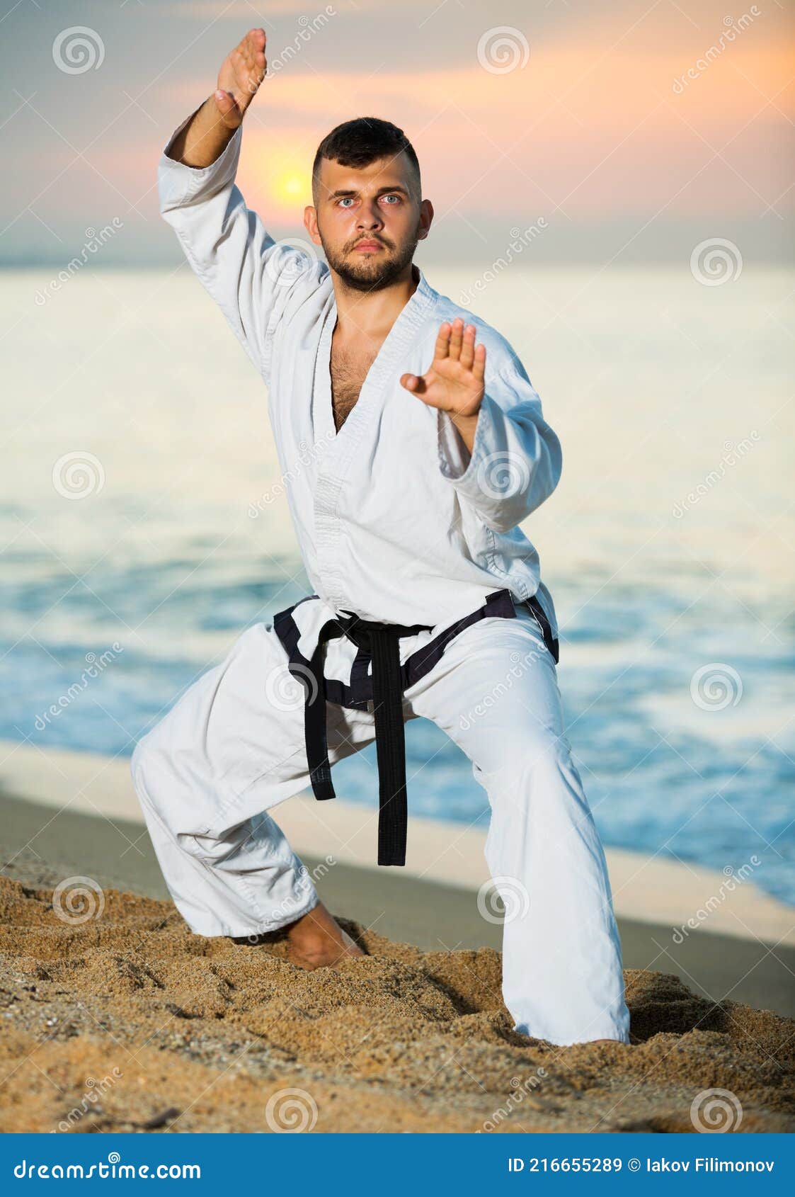 Guy doing karate poses stock image. Image of aspirations - 216655289