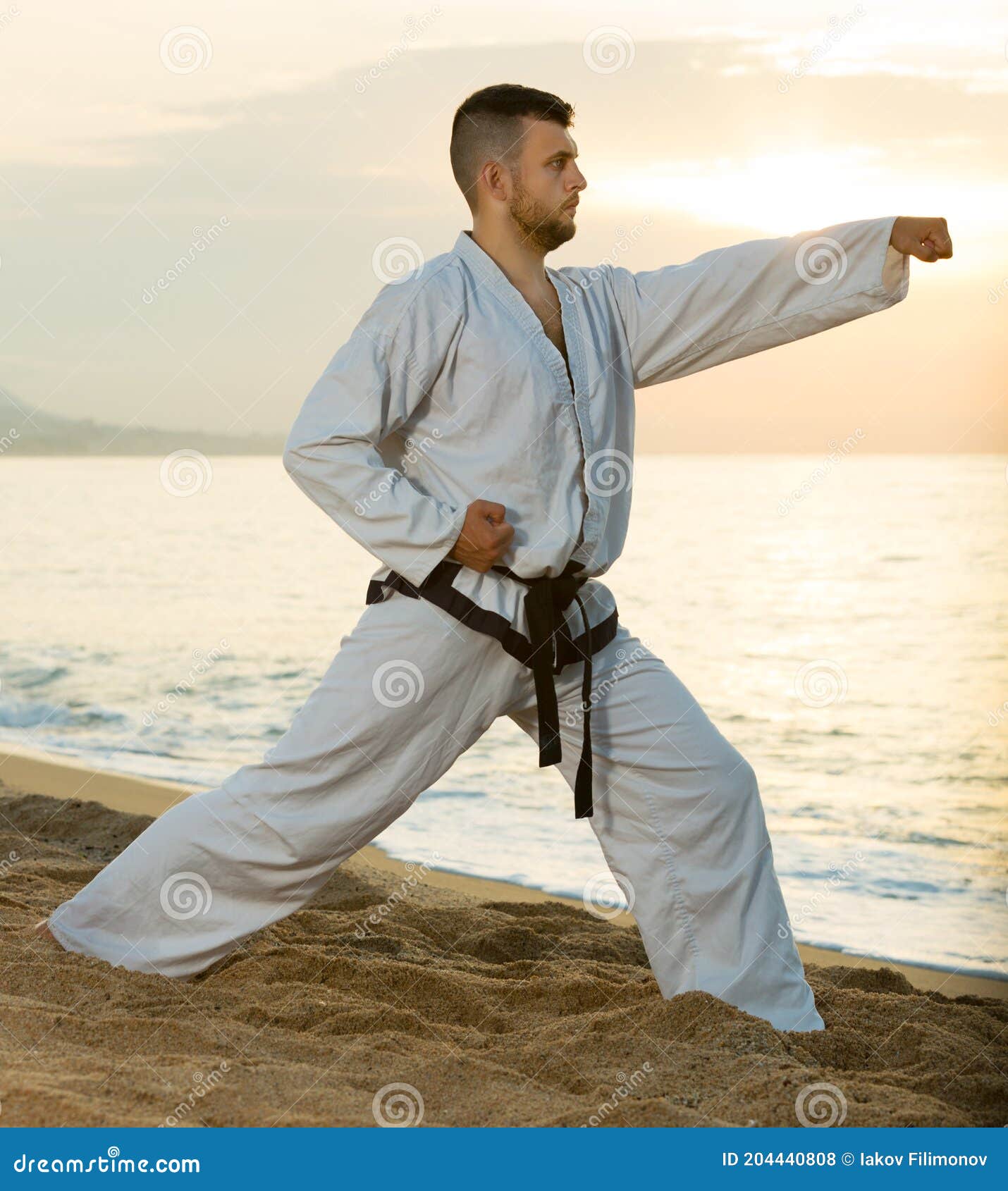 Guy doing karate poses stock photo. Image of professional - 204440808
