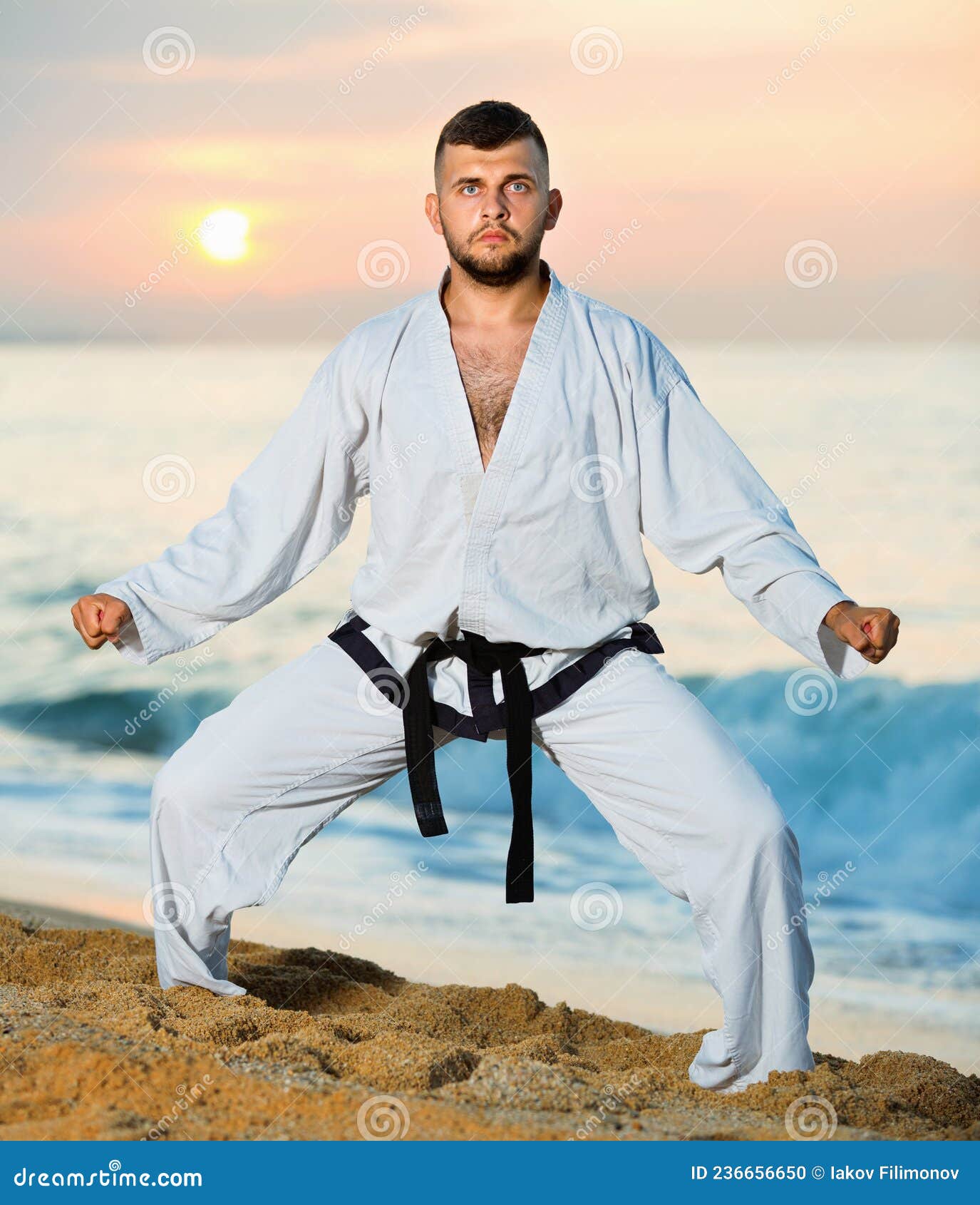 Guy Doing Karate Poses at Sunset Sea Shore Stock Photo - Image of ...