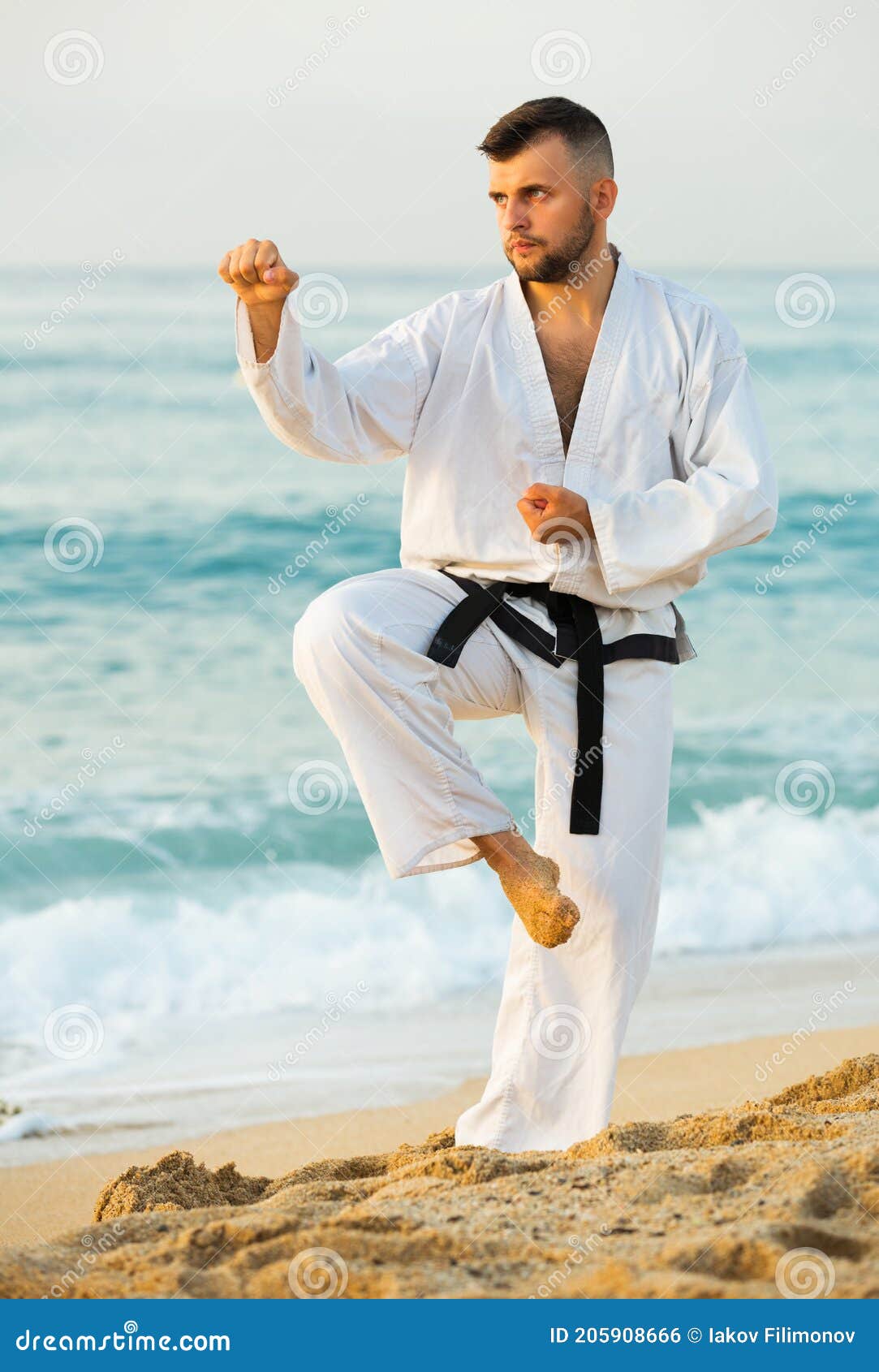 Guy doing karate poses stock photo. Image of action - 205908666