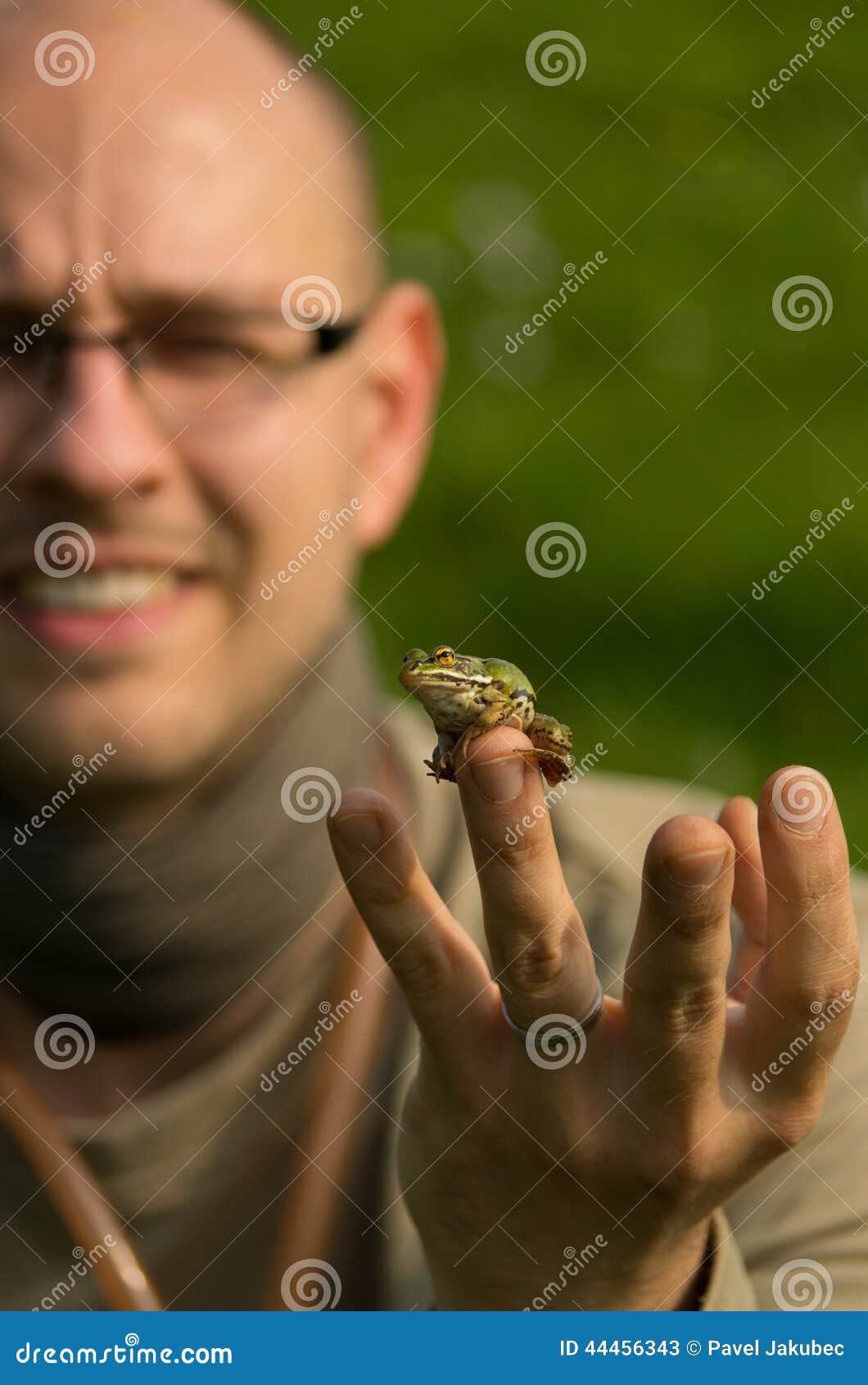 Guy with frog stock image. Image of frog, finger, animal - 44456343