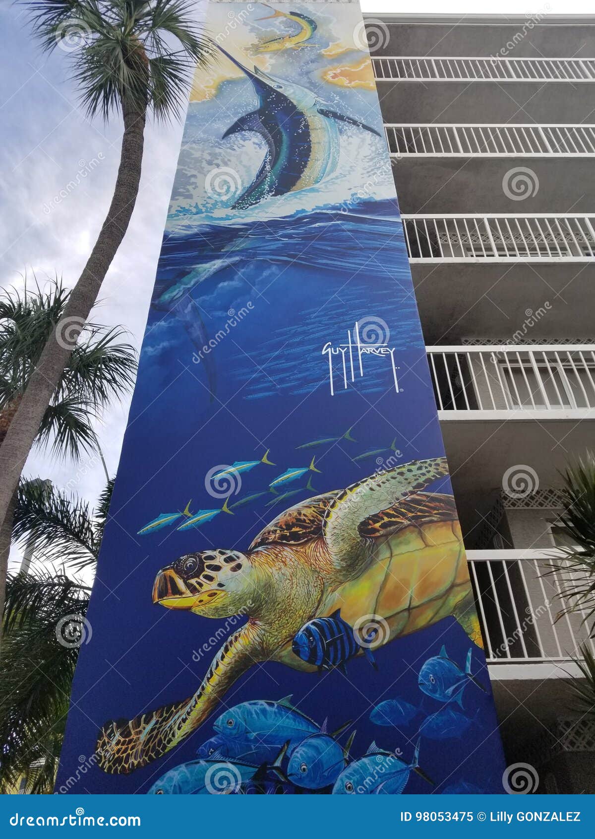 Guy Harvey inspired tank editorial image. Image of rumfish - 98053475