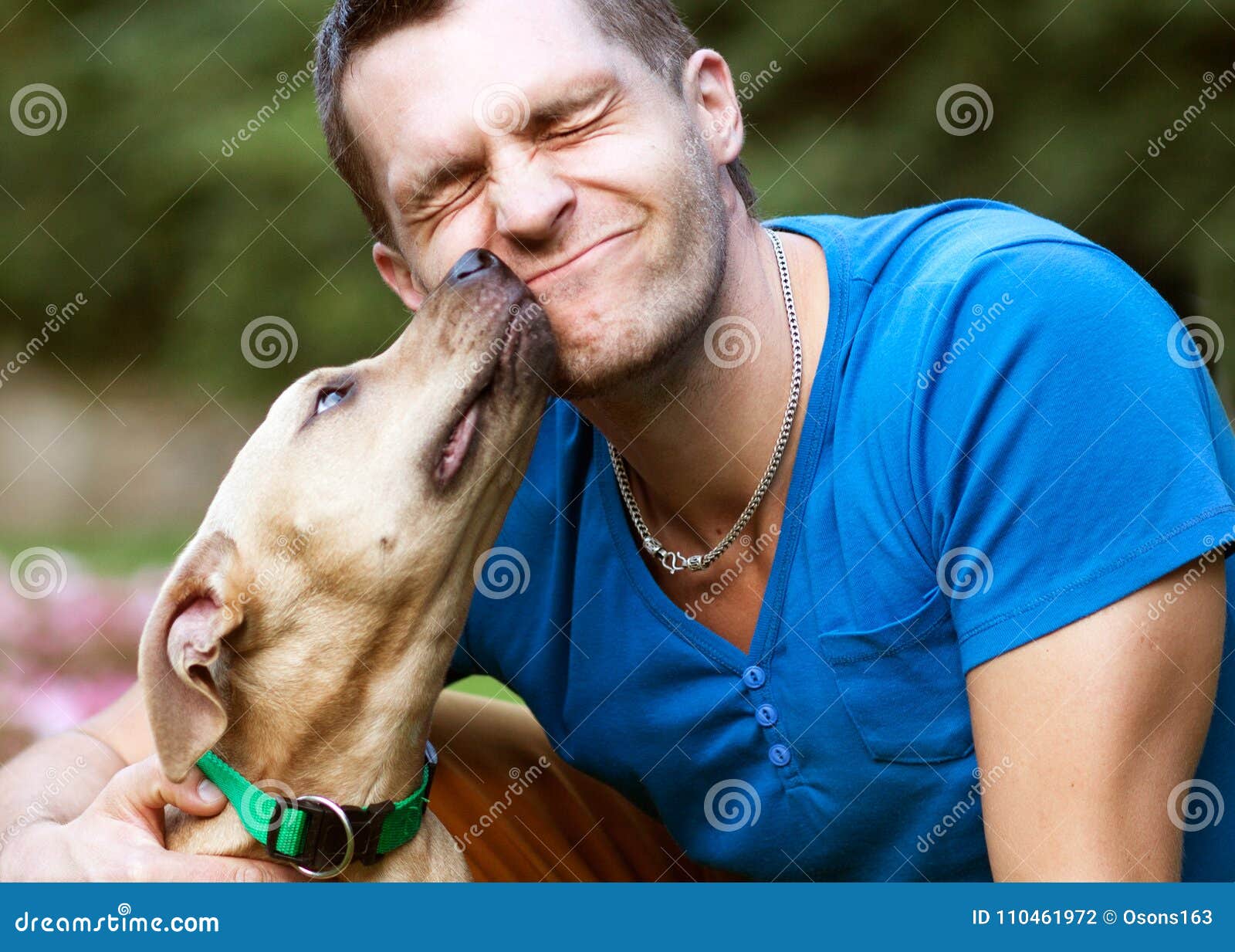Guy with His Dog Hugging in the Park Stock Photo - Image of labrador ...