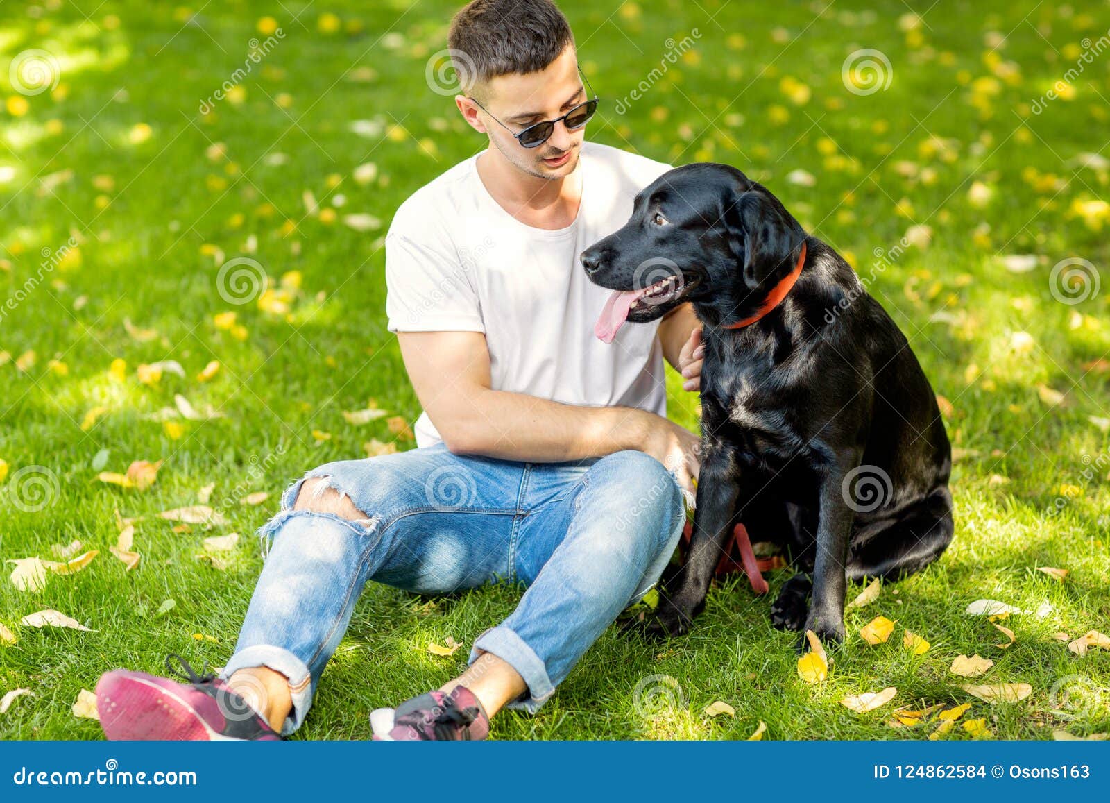 Guy Hugging with His Dog Labrador Playing in the Park Stock Photo ...
