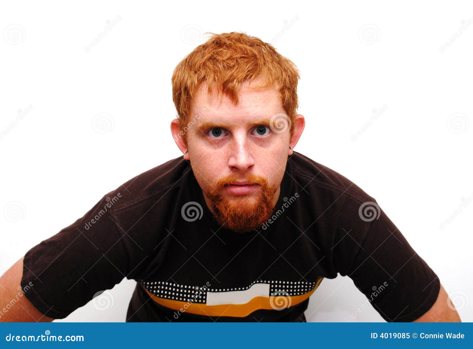 Guy Looking at Camera stock image. Image of hair, twenty - 4019085