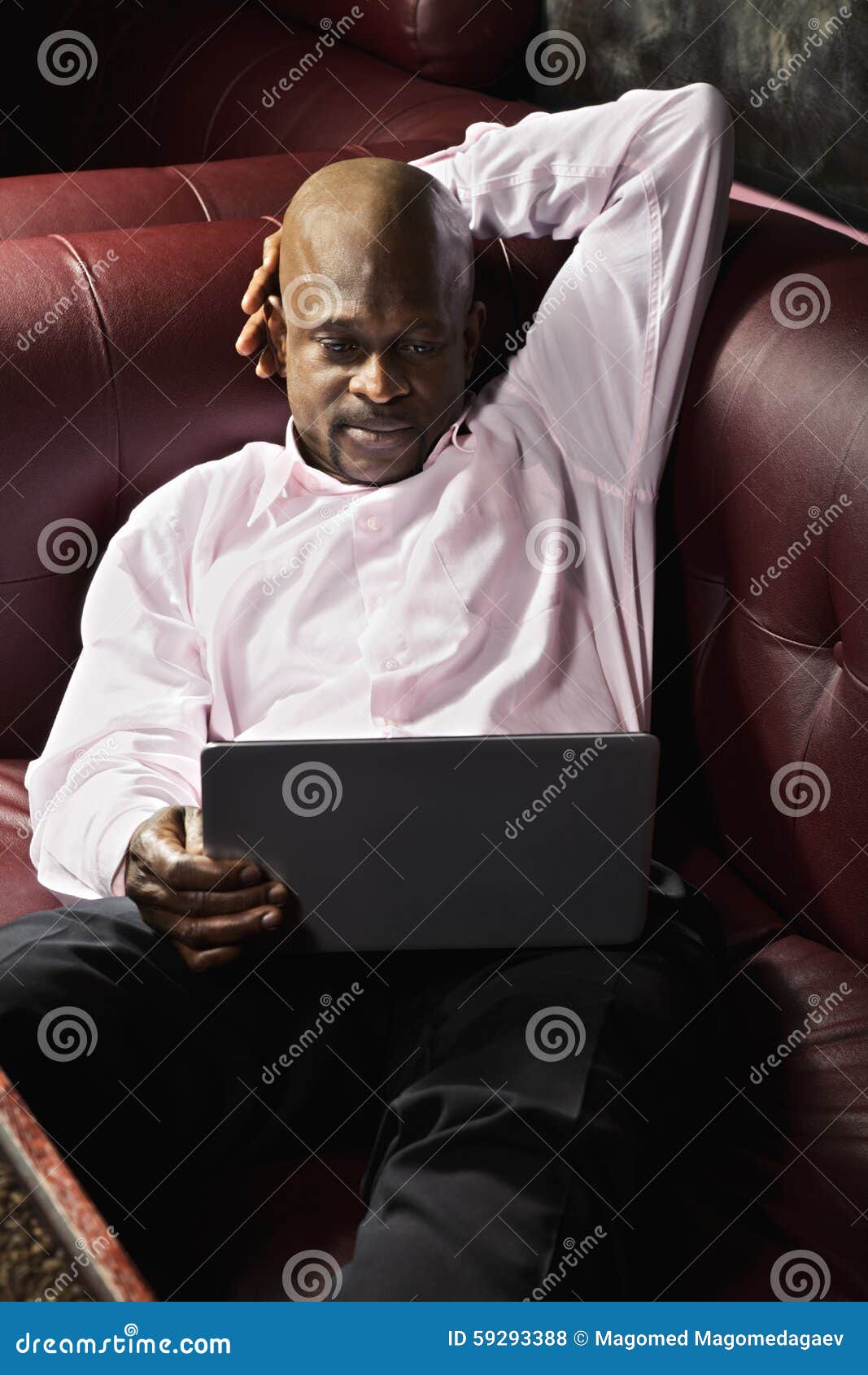 Guy Looking at Laptop Screen Stock Photo - Image of person, bald: 59293388