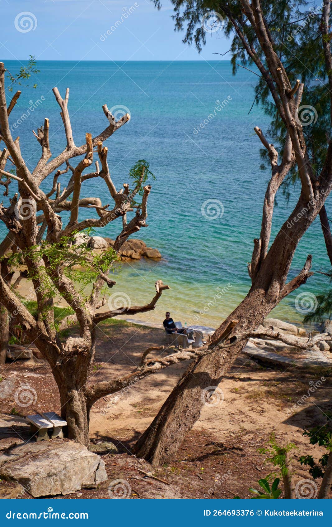 A Guy Lounges at Tables by the Seashore. a View through the Withered ...