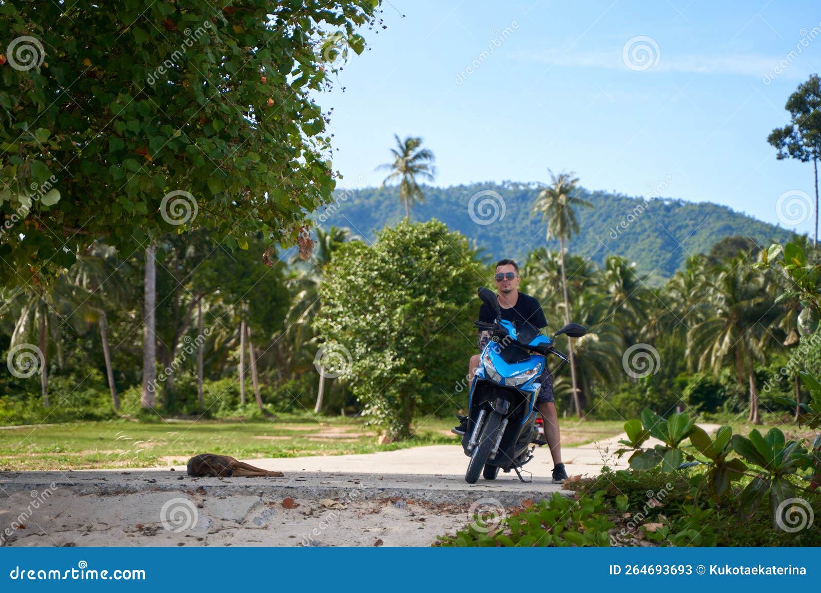 A Guy on a Motorcycle Looks at Dog Sleeping in the Shade of a Tree on ...