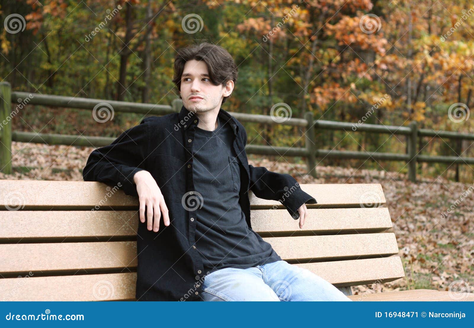 Guy on park bench stock image. Image of autumn, eyes - 16948471