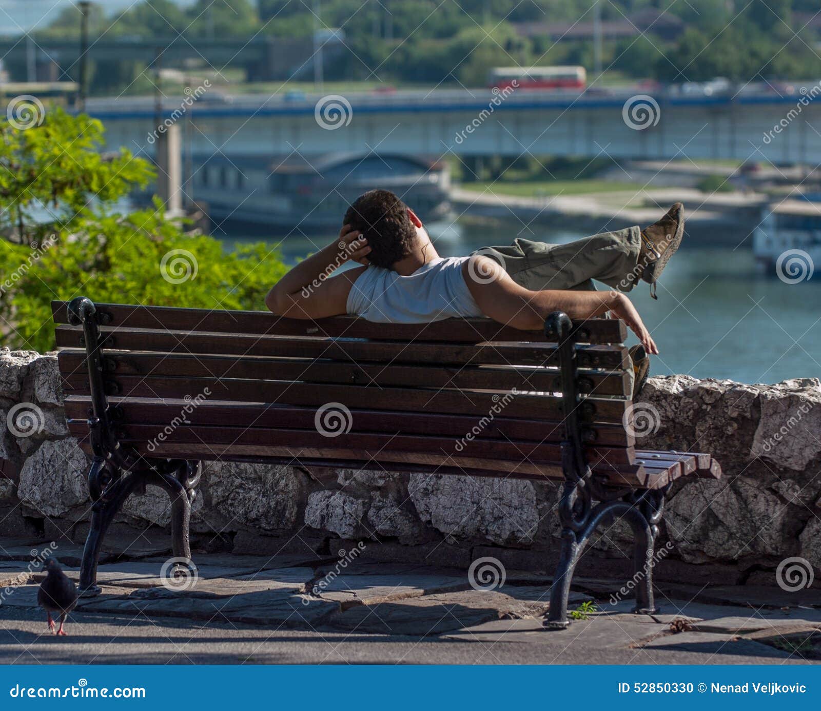 A guy on a park bench stock photo. Image of rest, social - 52850330