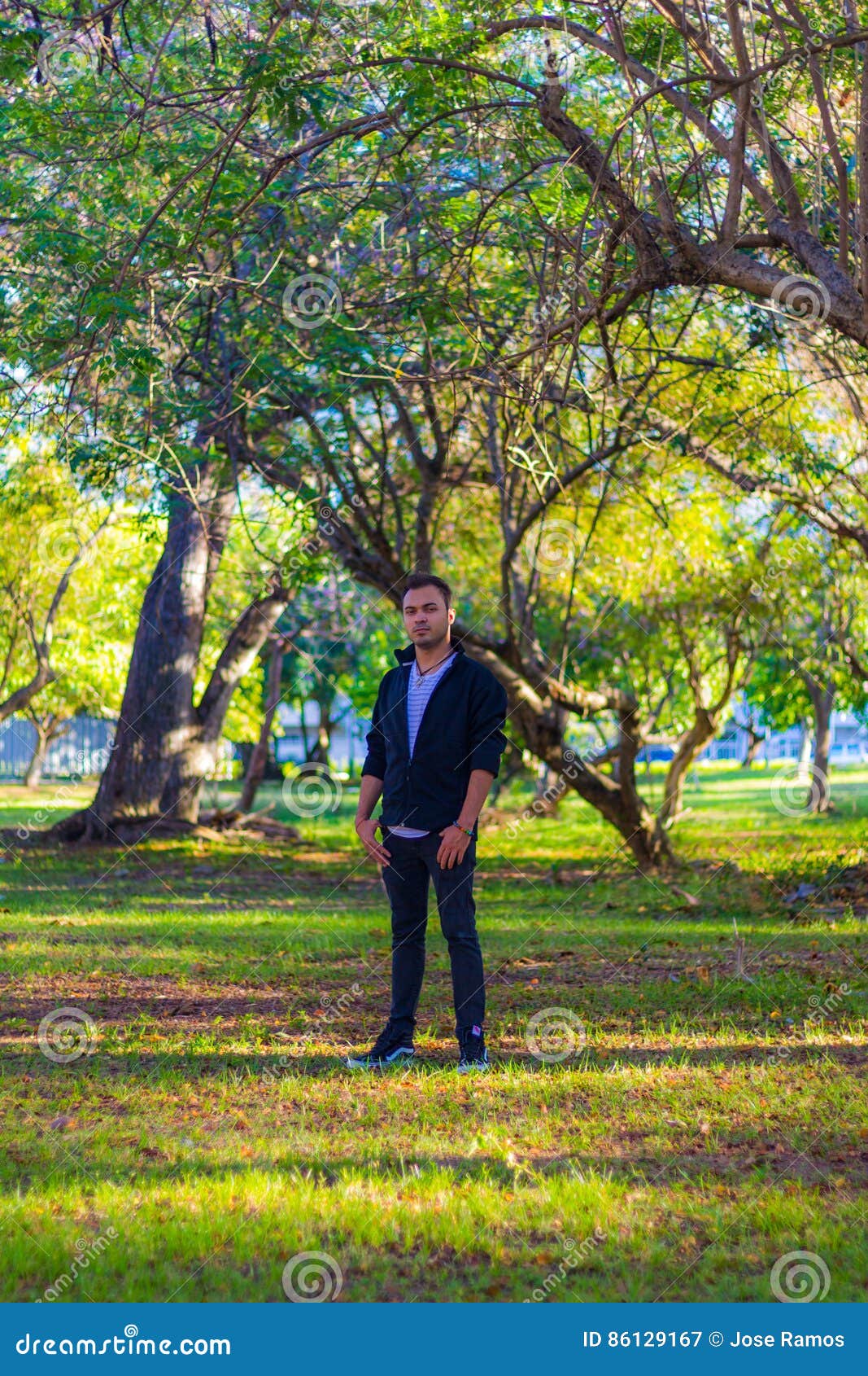 Guy in a park stock image. Image of foliage, grassland - 86129167