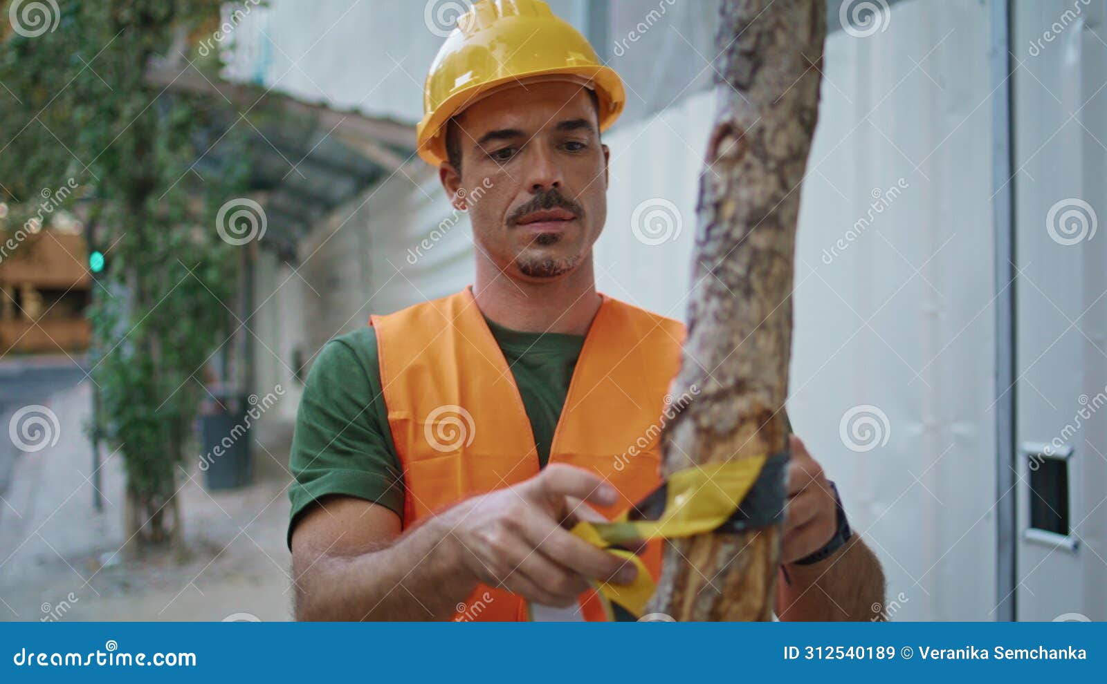 Guy Putting Warning Tape at Tree Closeup. Builder Man Enclosing with ...