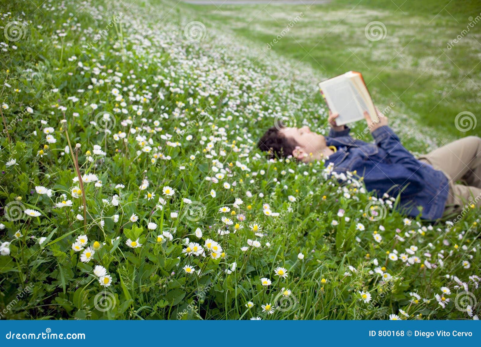 Guy-reading-02 stock photo. Image of boys, flower, italian - 800168