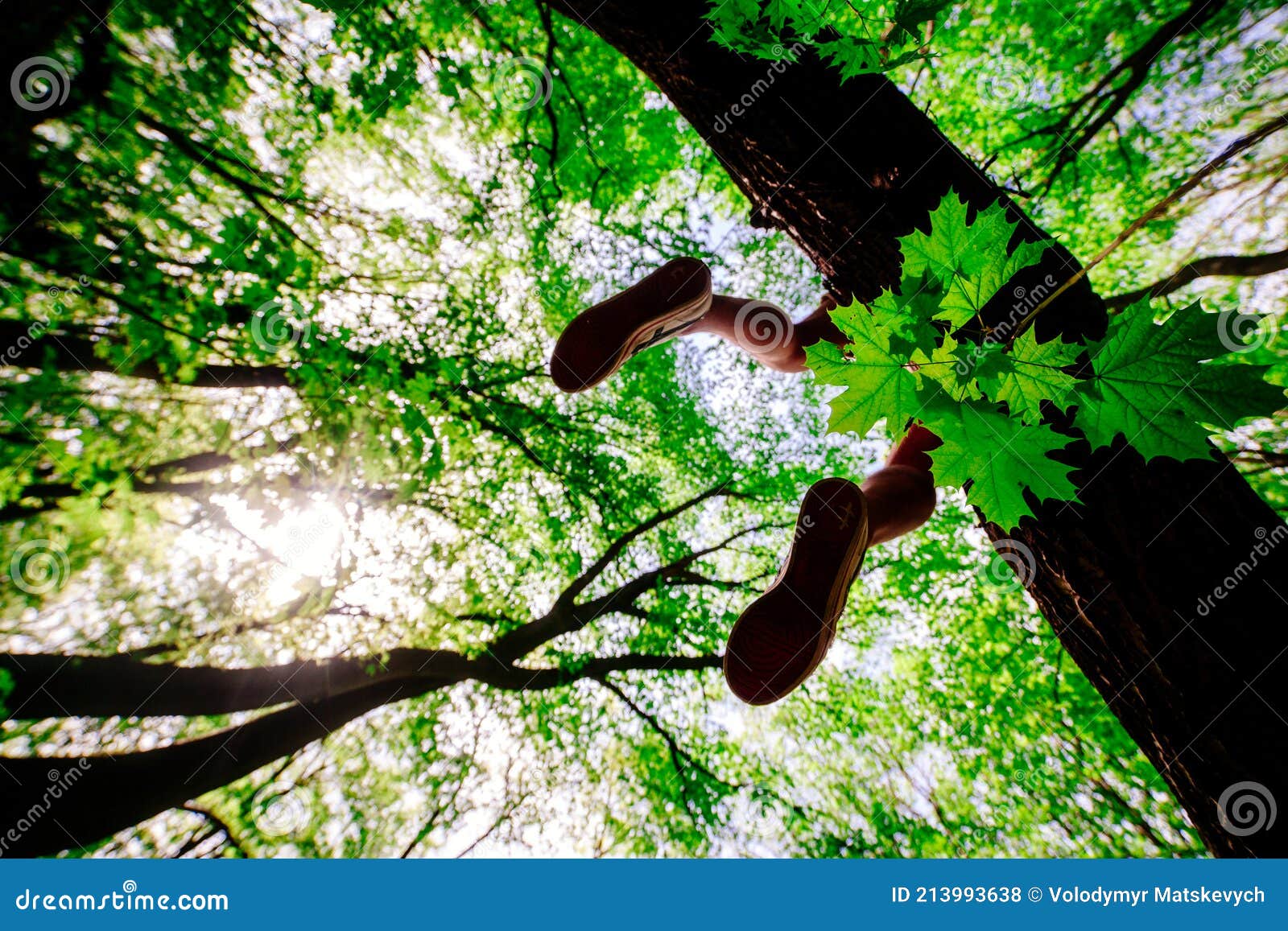 Guy`s Legs Hanging from a Tree, Spring, Rest Stock Photo - Image of ...