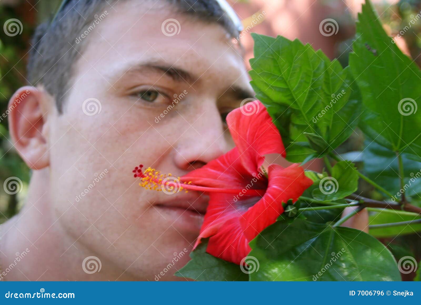 The guy smells a flower stock photo. Image of flower, summer - 7006796