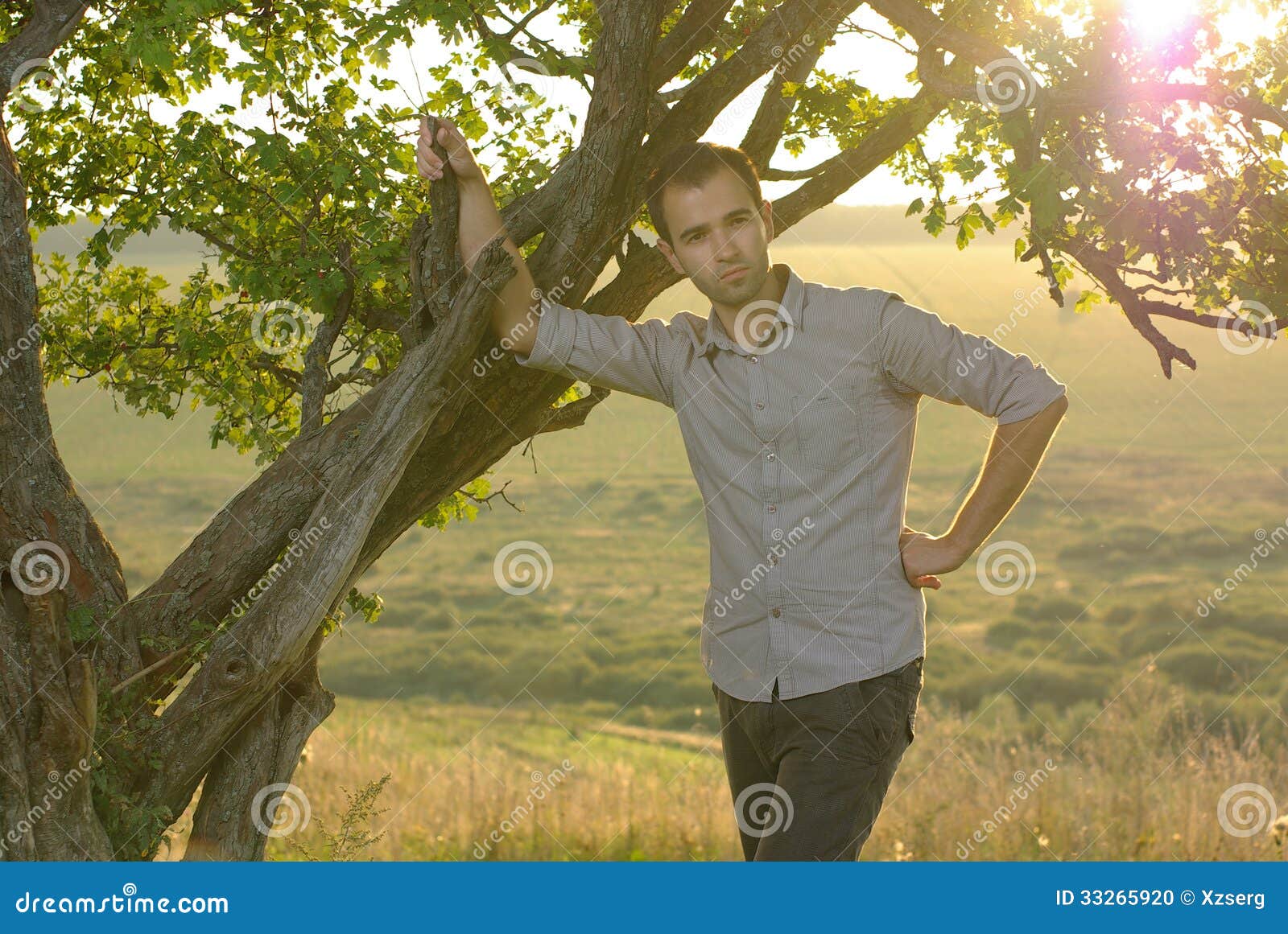Guy under tree on field stock photo. Image of stand, shirt - 33265920