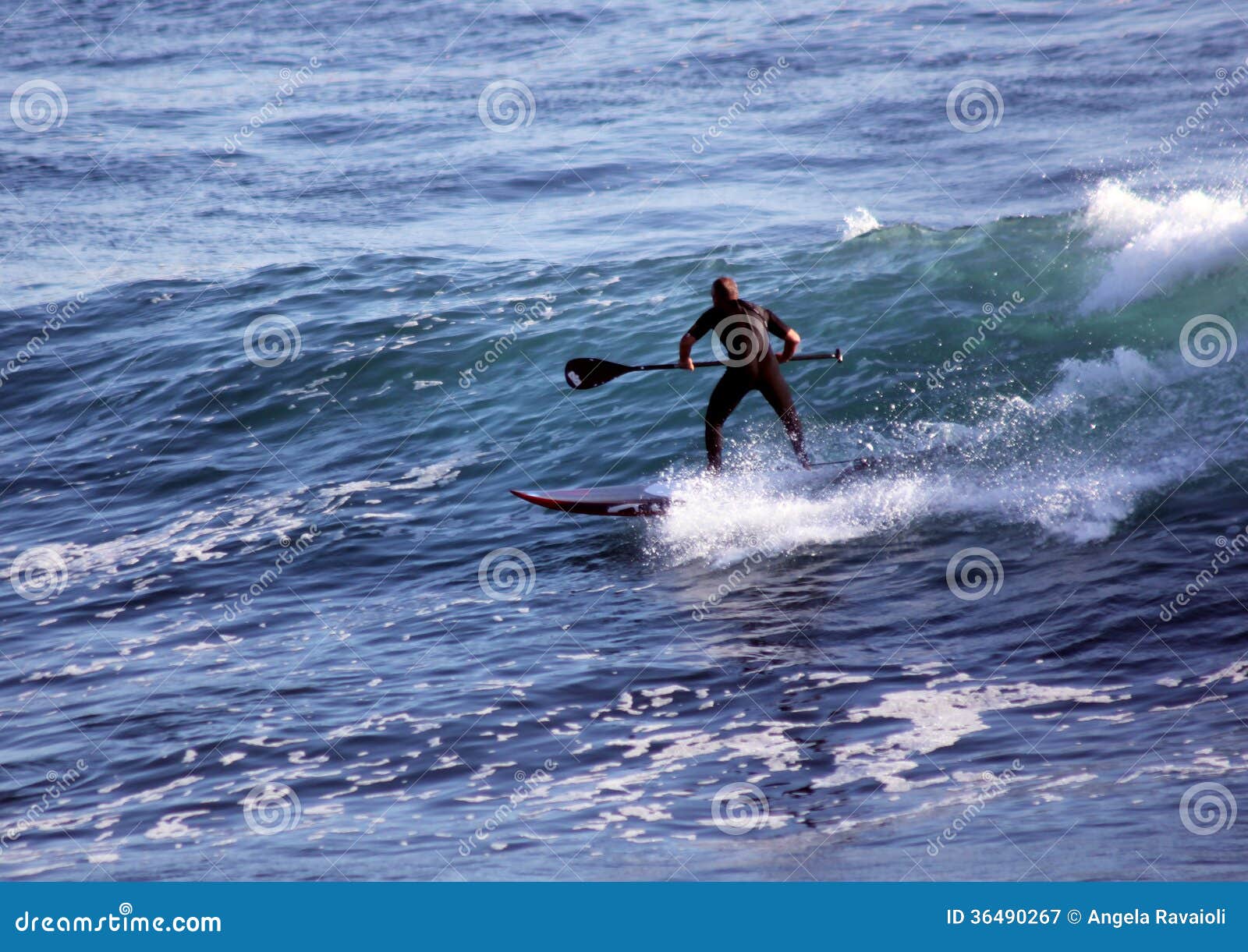A guy who does sup editorial photography. Image of summer - 36490267
