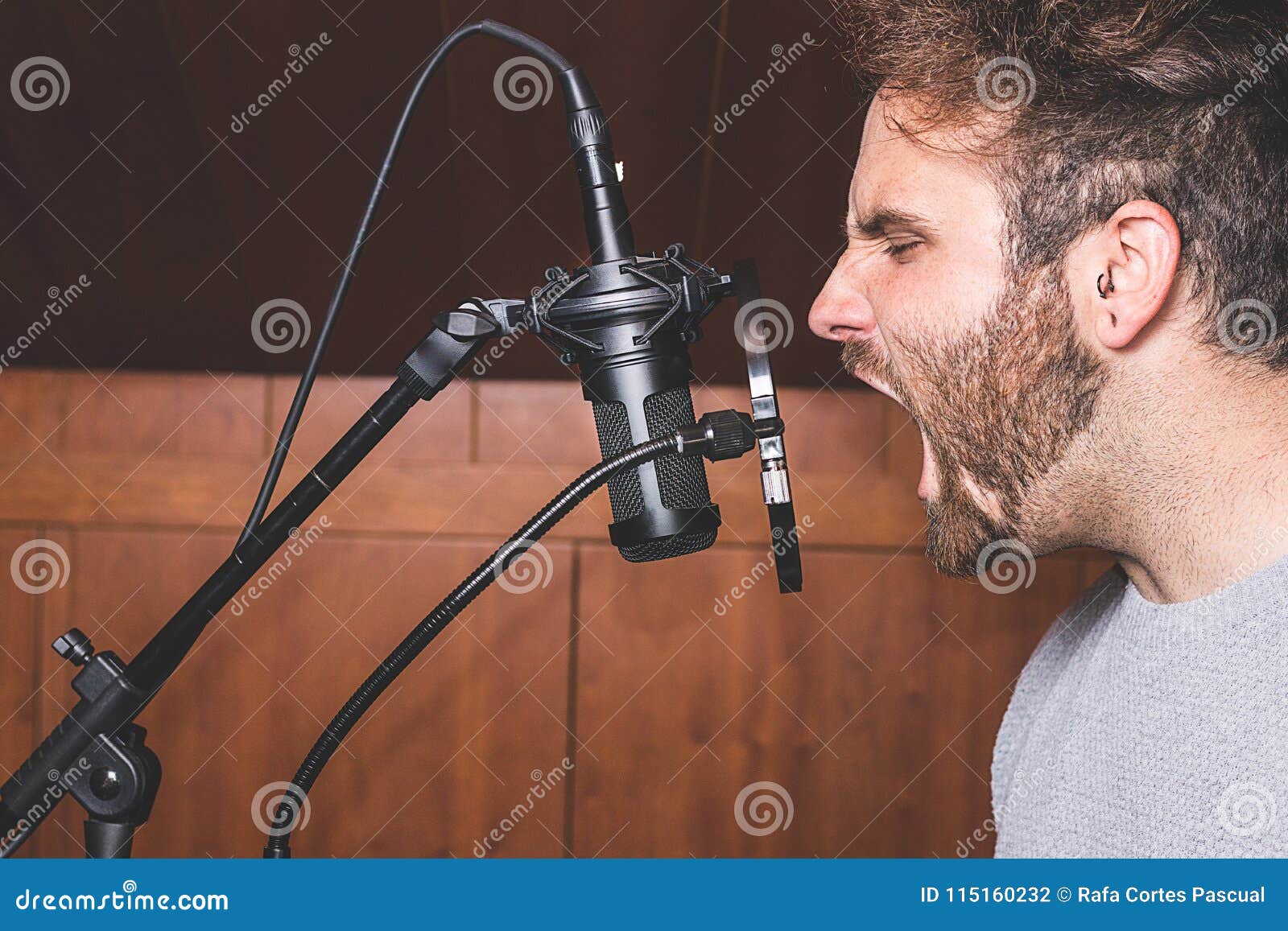 Guy Yelling at a Microphone Stock Photo - Image of performance, concert ...