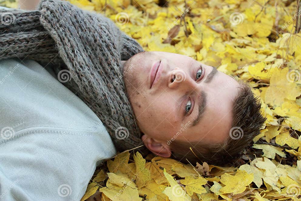Guy is in the Yellow Maple Leaves Stock Image - Image of people, model ...