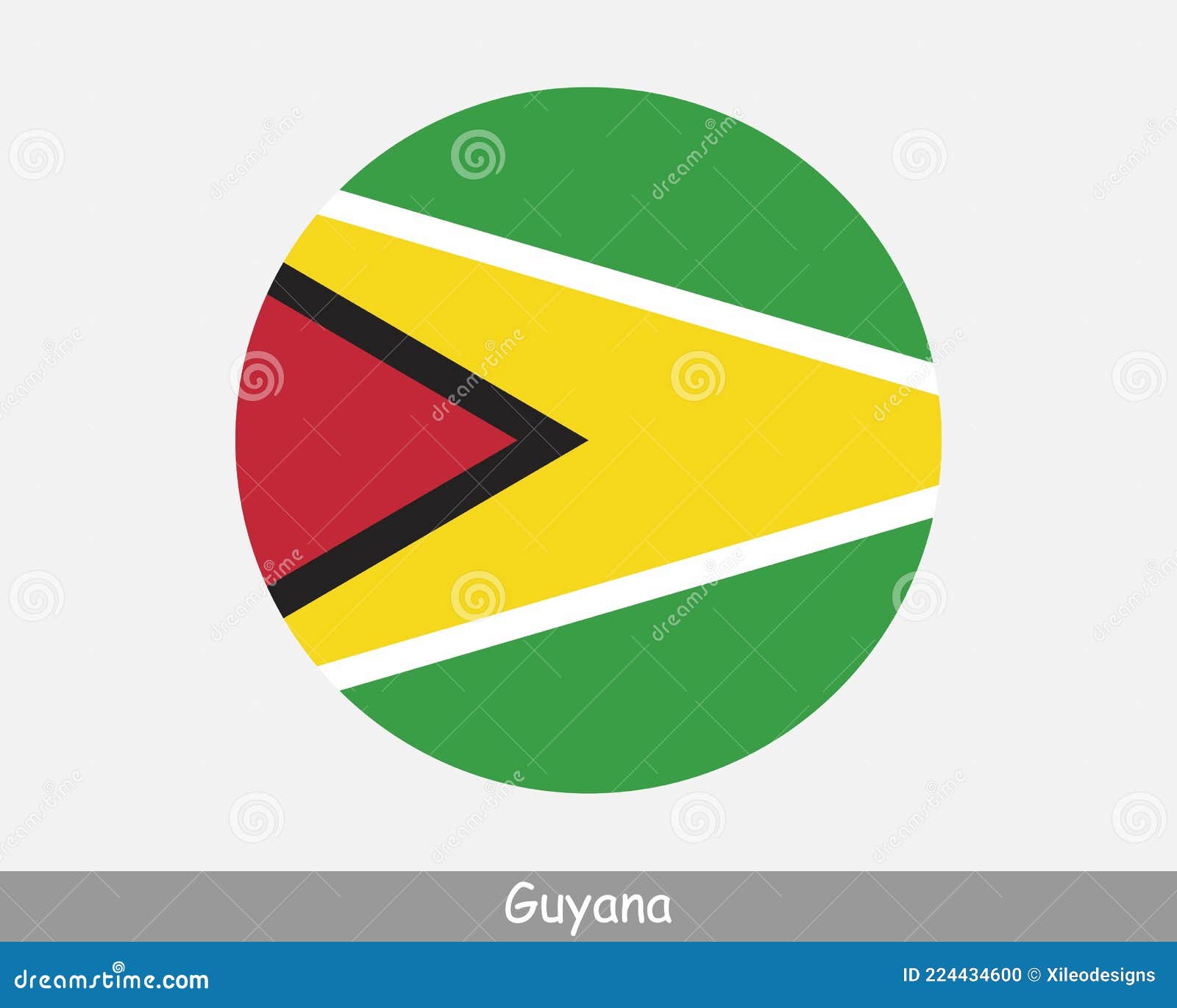 Guyana Circle Button Icon. Guyanese Round Badge Flag. 3D Realistic Isolated Vector Illustration ...