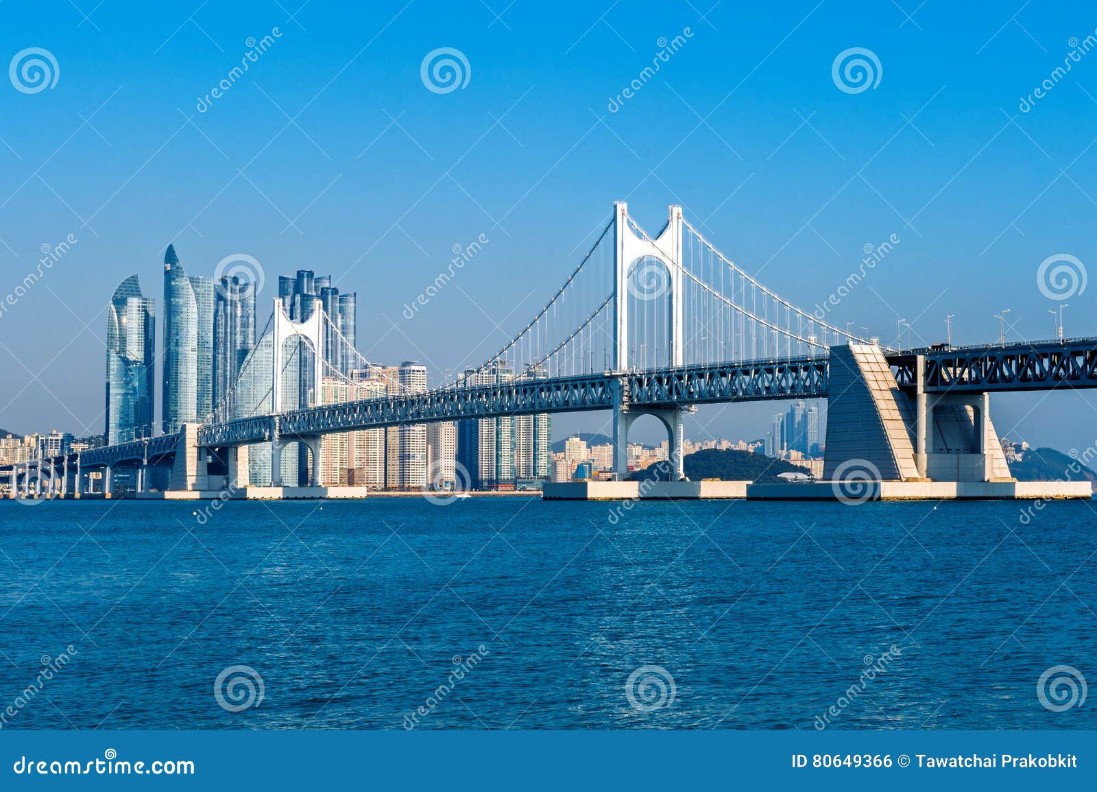 Gwangan Bridge and Haeundae in Busan. Stock Photo - Image of building ...