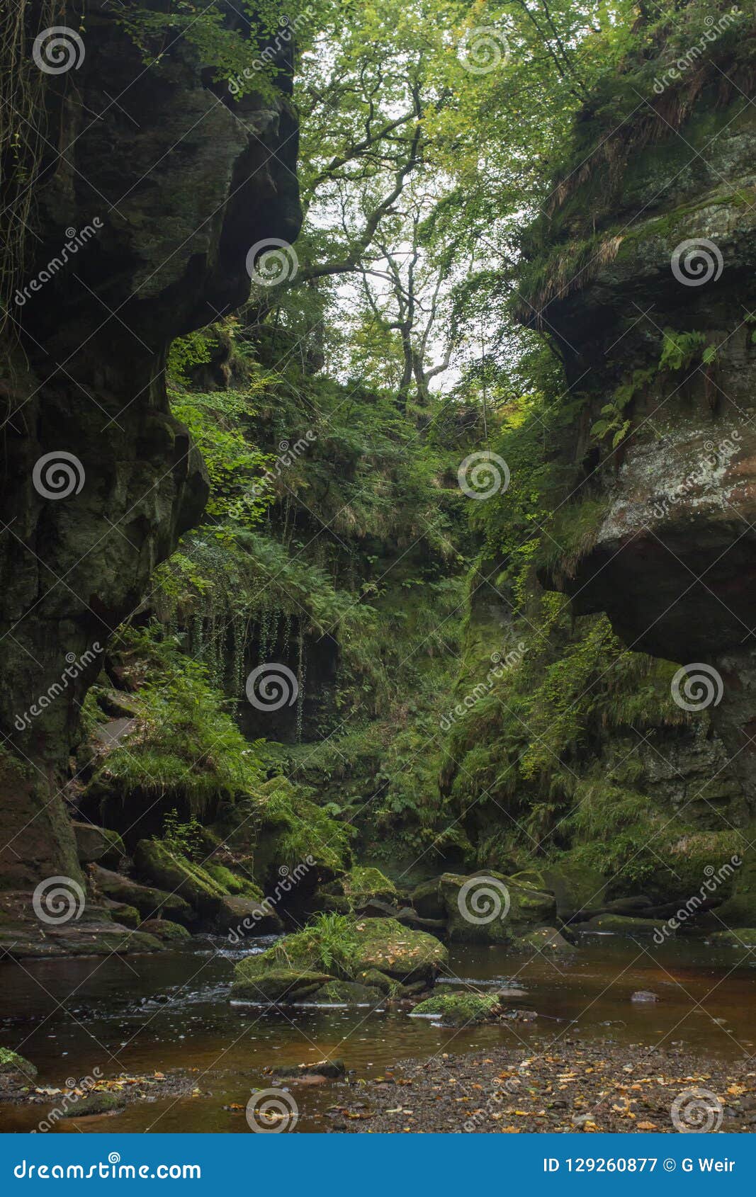 The Devils Pulpit Ravine in Scottish Highlands Stock Image - Image of ...