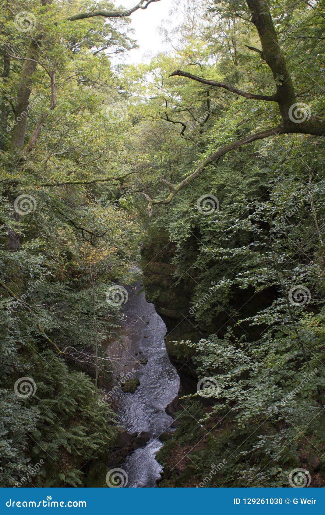 A Deep Hidden Ravine in Scotland. Stock Photo - Image of climb, path ...