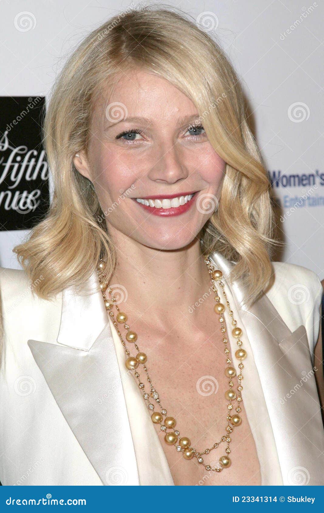 Gwyneth Paltrow editorial stock image. Image of annual - 23341314