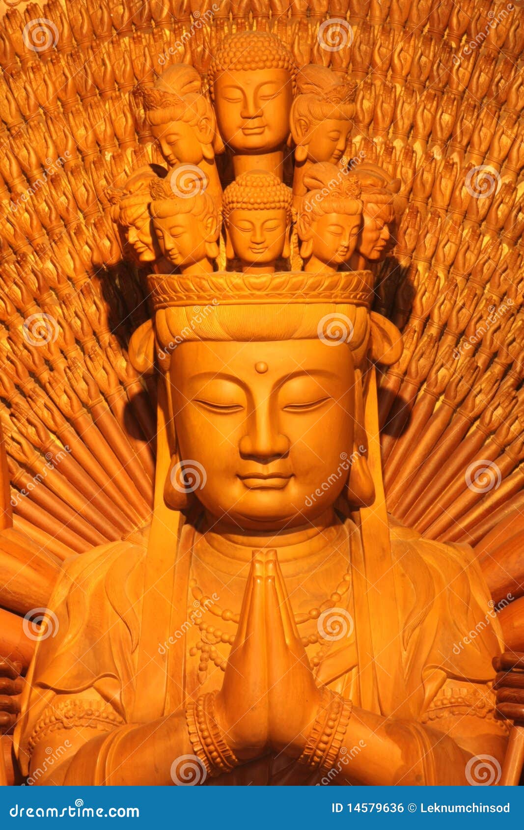 Gyan yim face stock photo. Image of asian, quan, portrait - 14579636