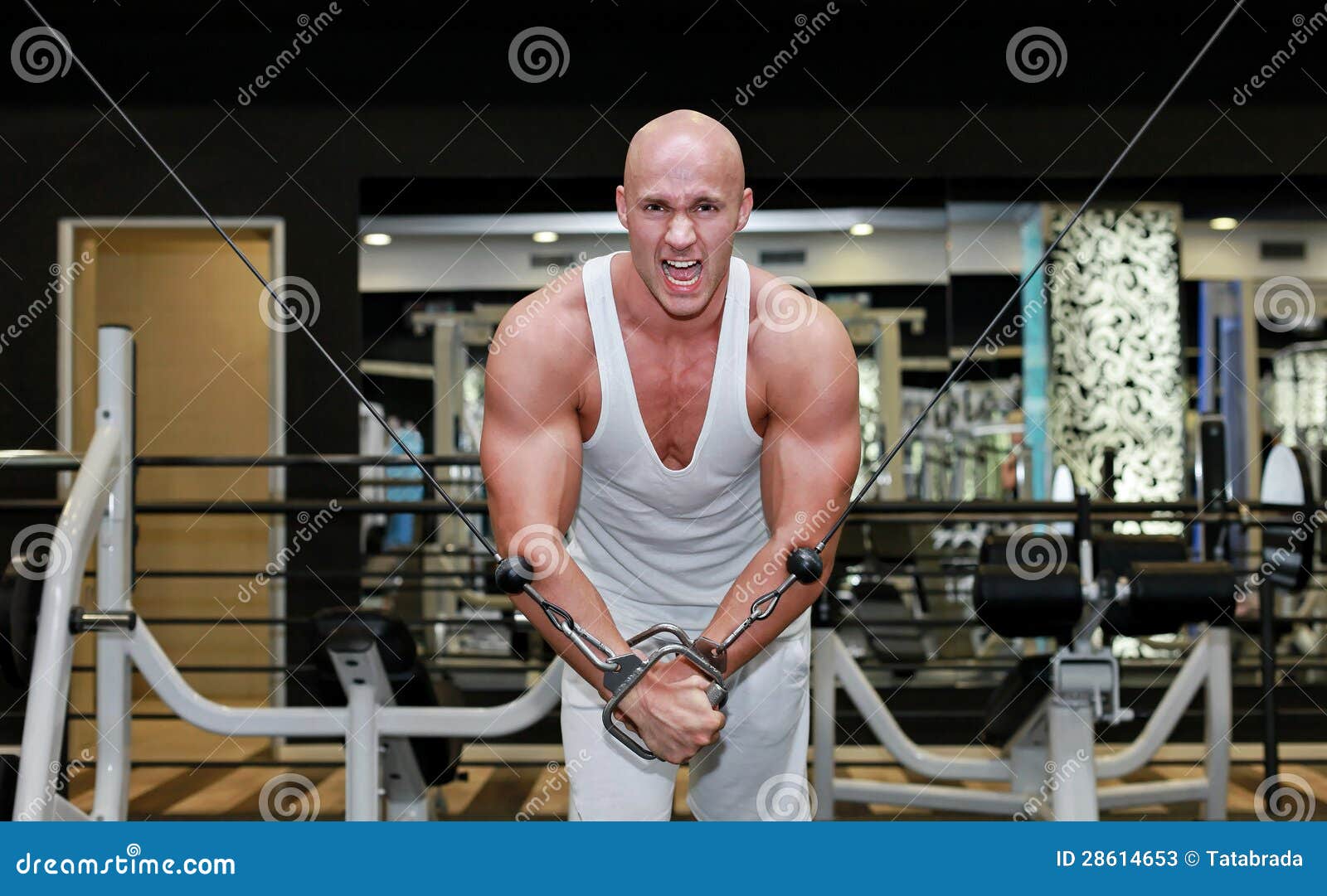 Gym stock image. Image of bald, body, strong, sport, club - 28614653