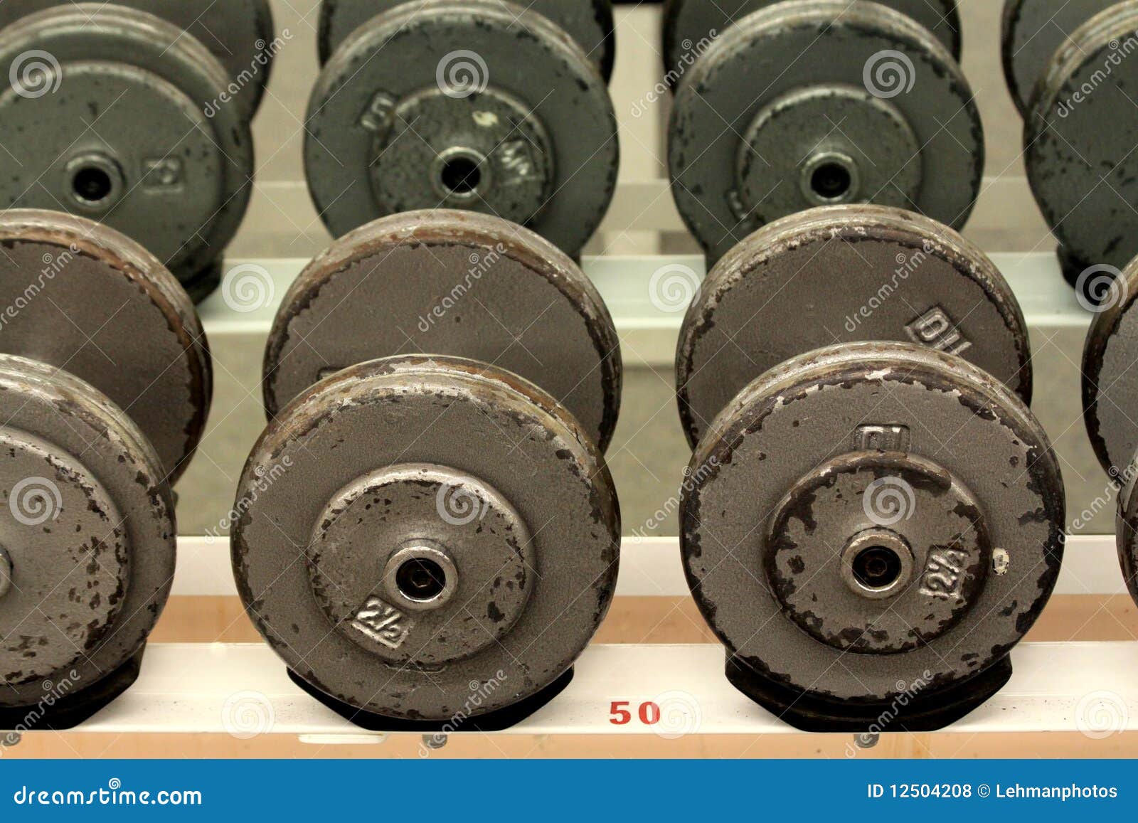 Gym Barbells Lined Up on a Rack Stock Photo - Image of hold, weights ...