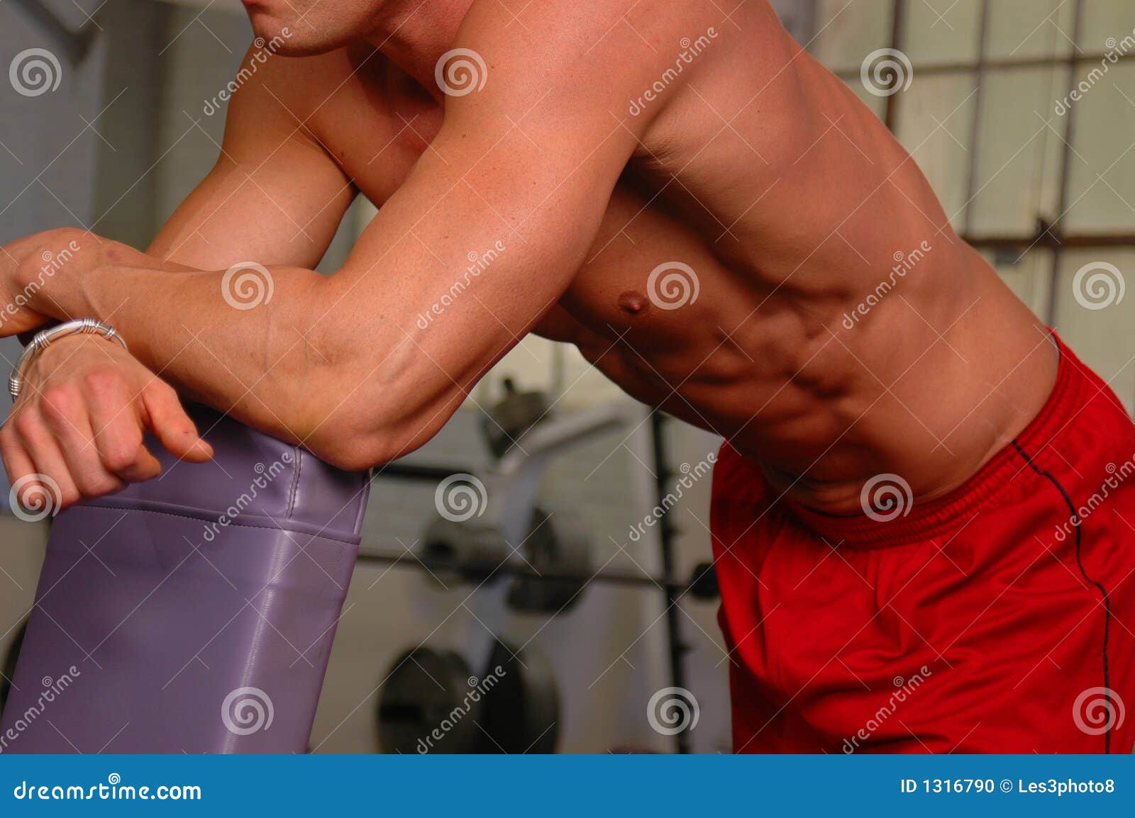 Gym Body stock photo. Image of workout, muscle, abdomen - 1316790
