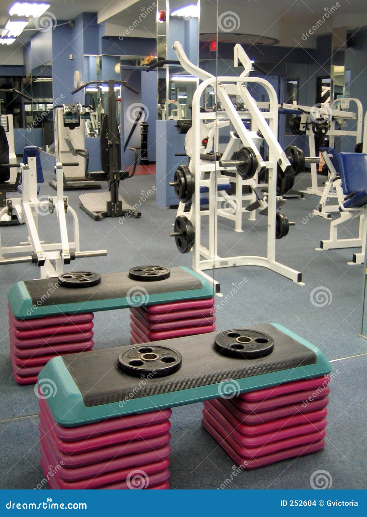 Gym equipment stock photo. Image of strength, weight, step - 252604