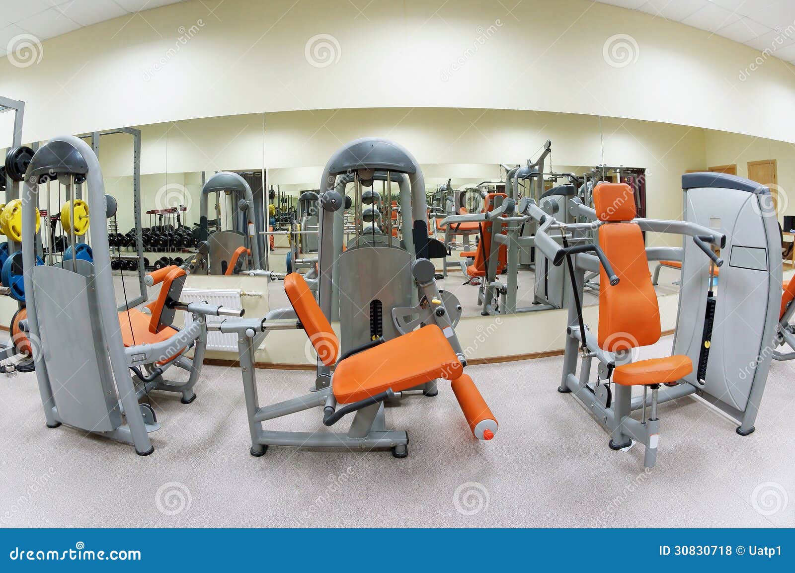 Gym hall stock photo. Image of fitness, healthcare, wight - 30830718