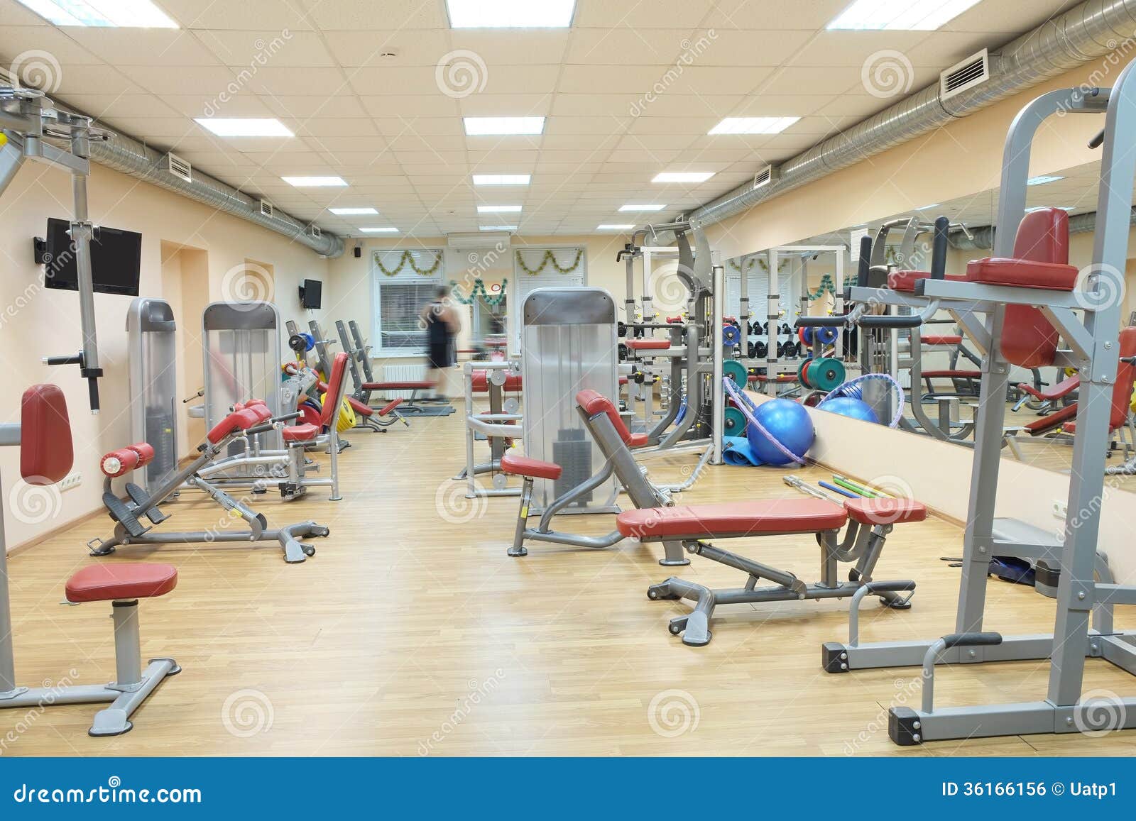 Gym hall stock photo. Image of lifestyle, muscular, activity - 36166156