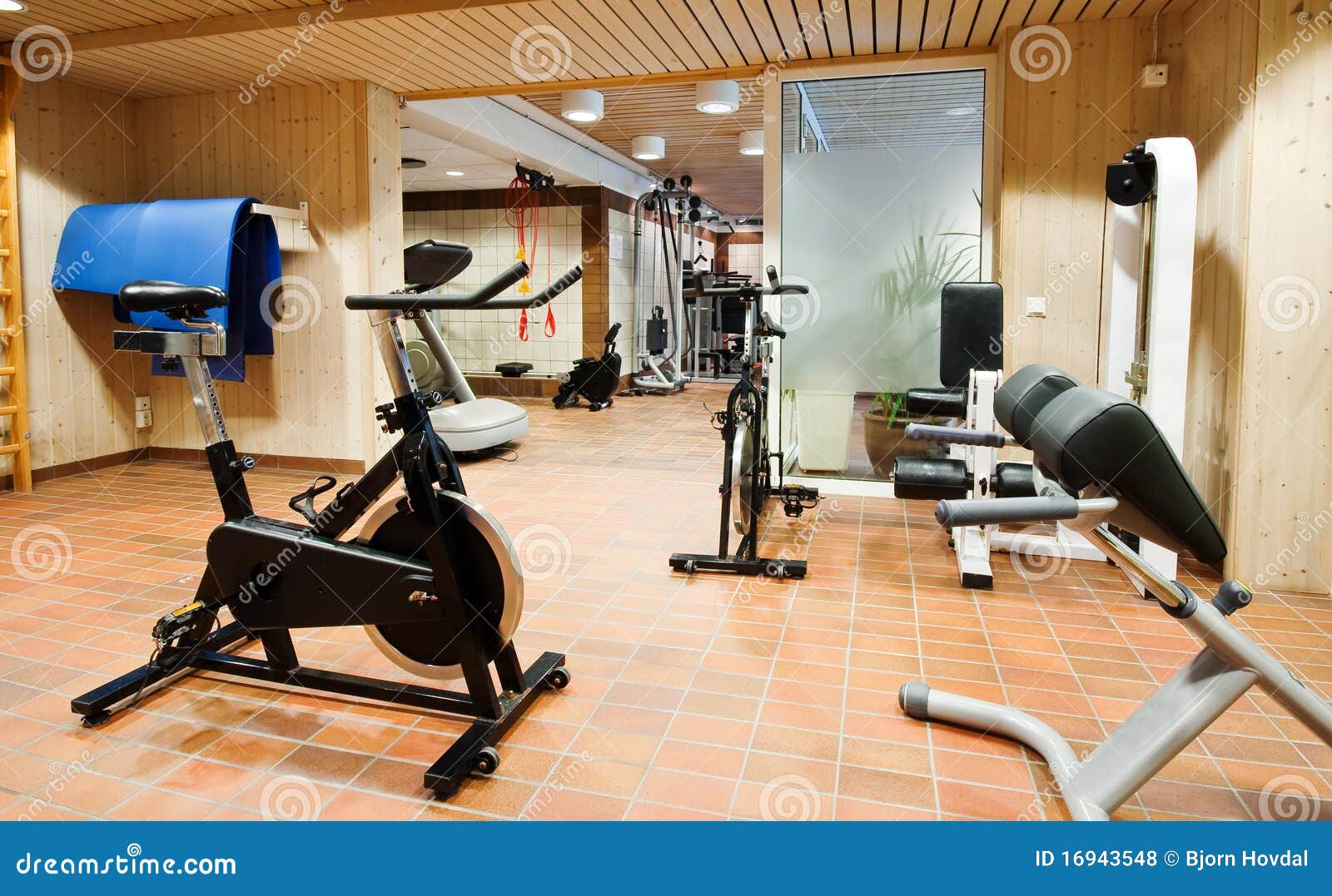 123 Gym Hardware Photos - Free & Royalty-Free Stock Photos from Dreamstime
