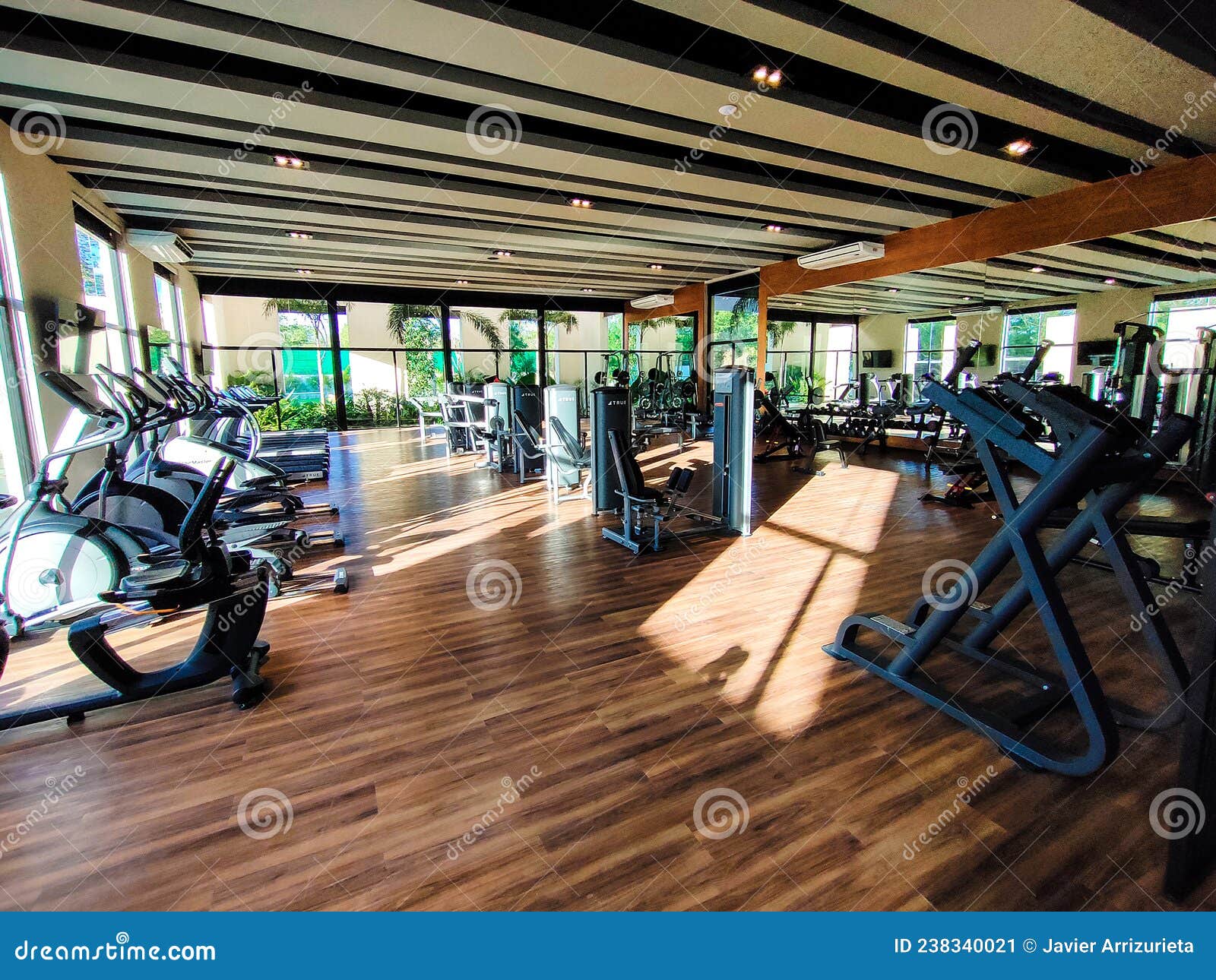 Gym Inside a Private Residential Stock Image - Image of luxury ...