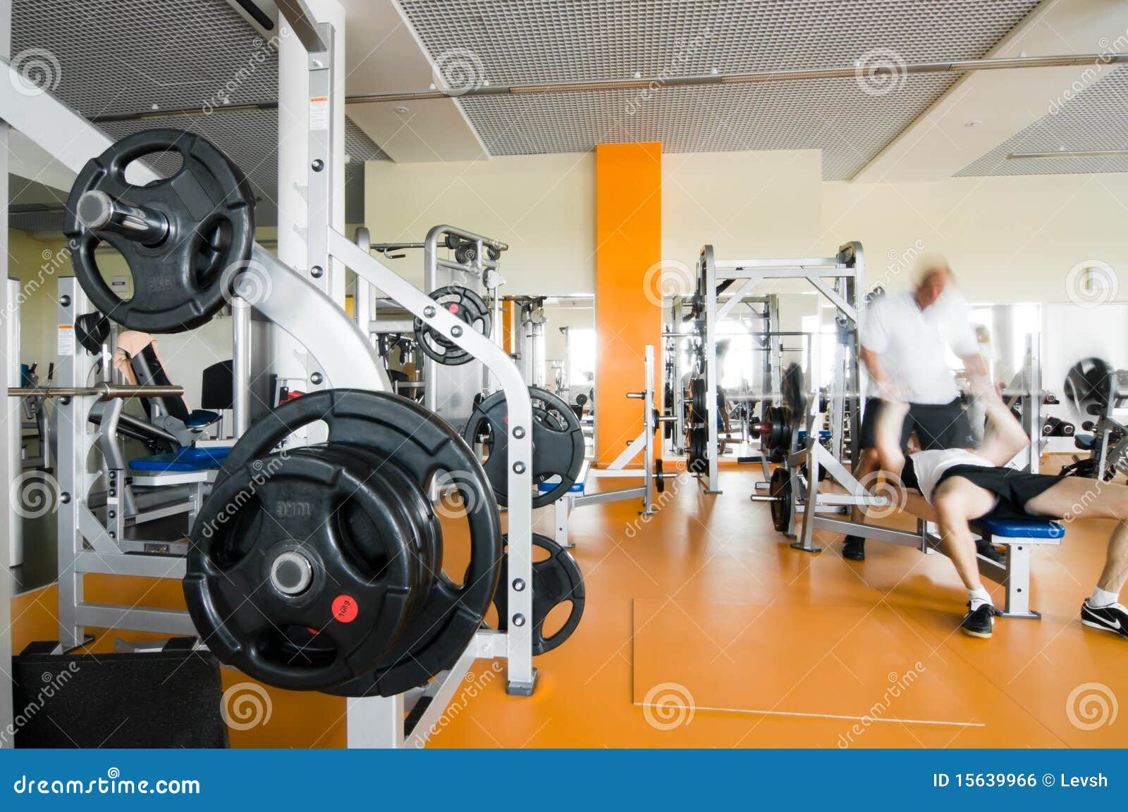 Gym interior stock photo. Image of healthy, body, concepts - 15639966