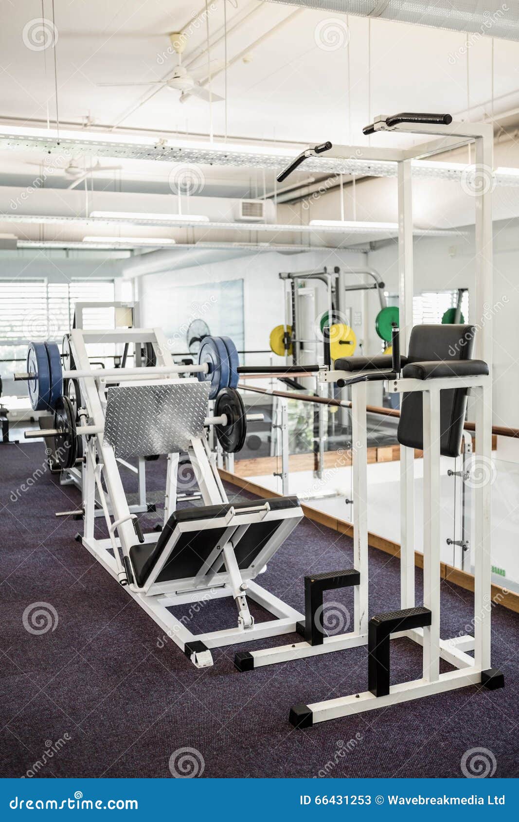 Gym with no people stock image. Image of exercise, leisure - 66431253