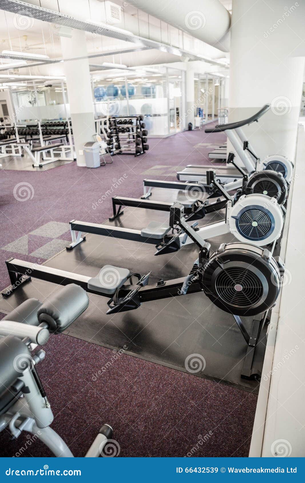Gym with no people stock image. Image of workout, recreation - 66432539