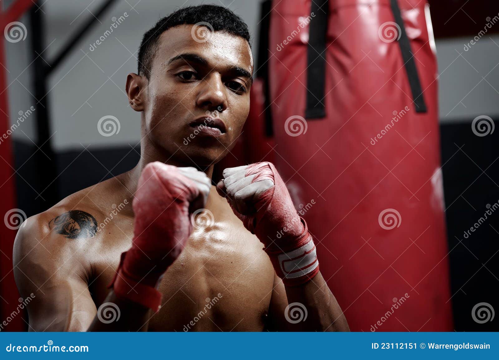 Gym portrait stock image. Image of active, energy, pose - 23112151