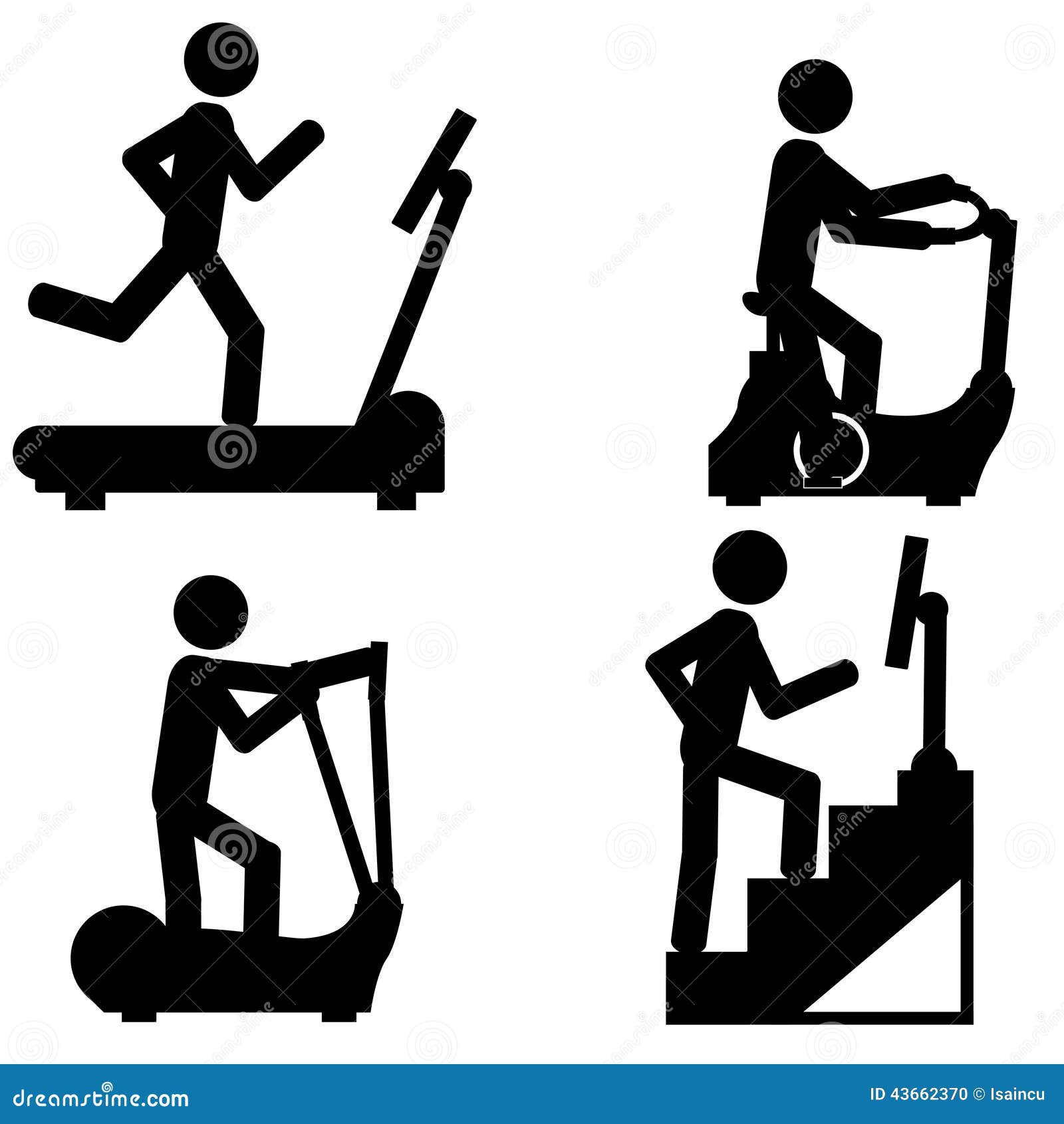 Gym sport stock vector. Illustration of beautiful, lifestyle - 43662370