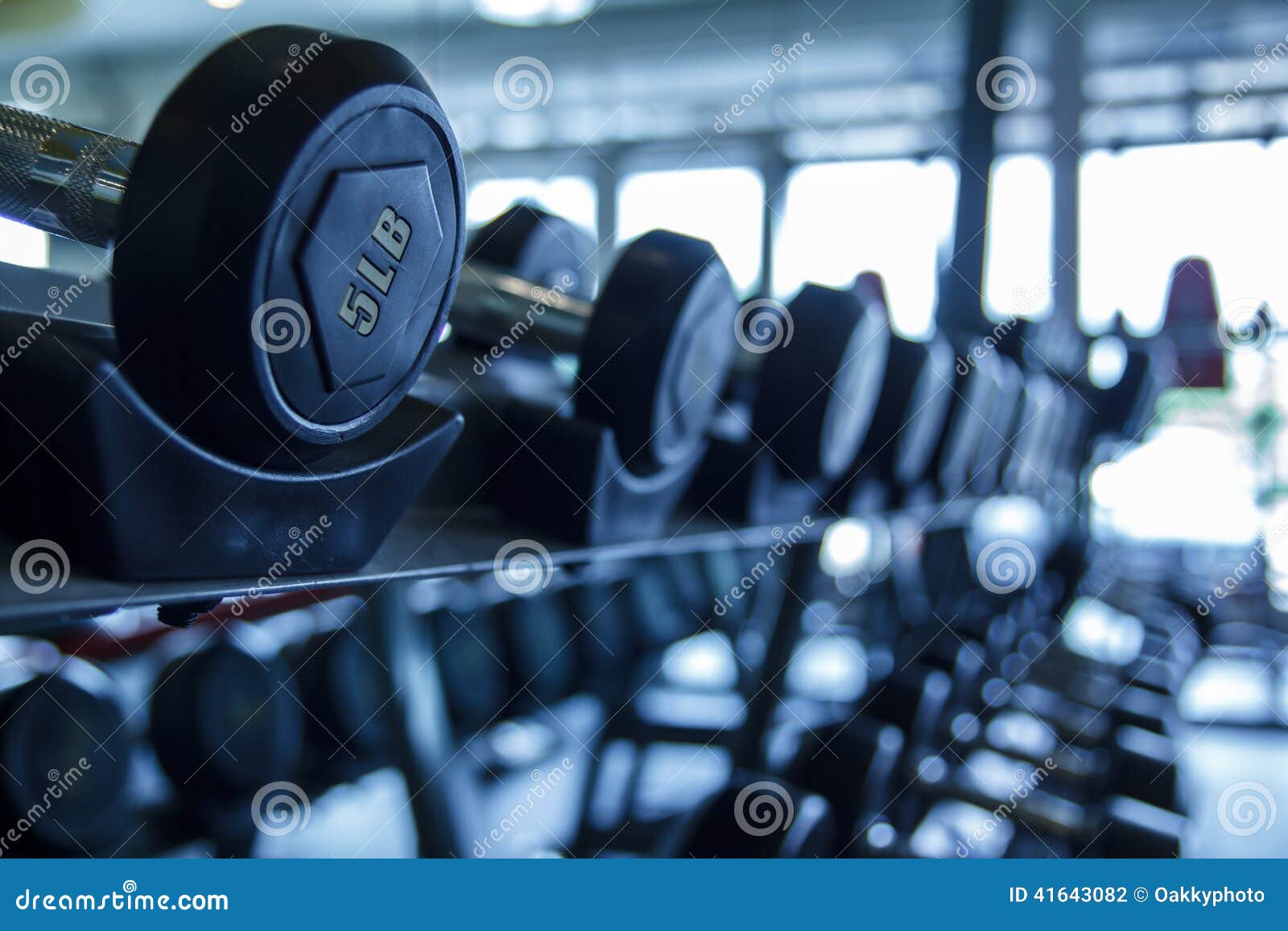 Gym weights stock photo. Image of training, health, healthy - 41643082