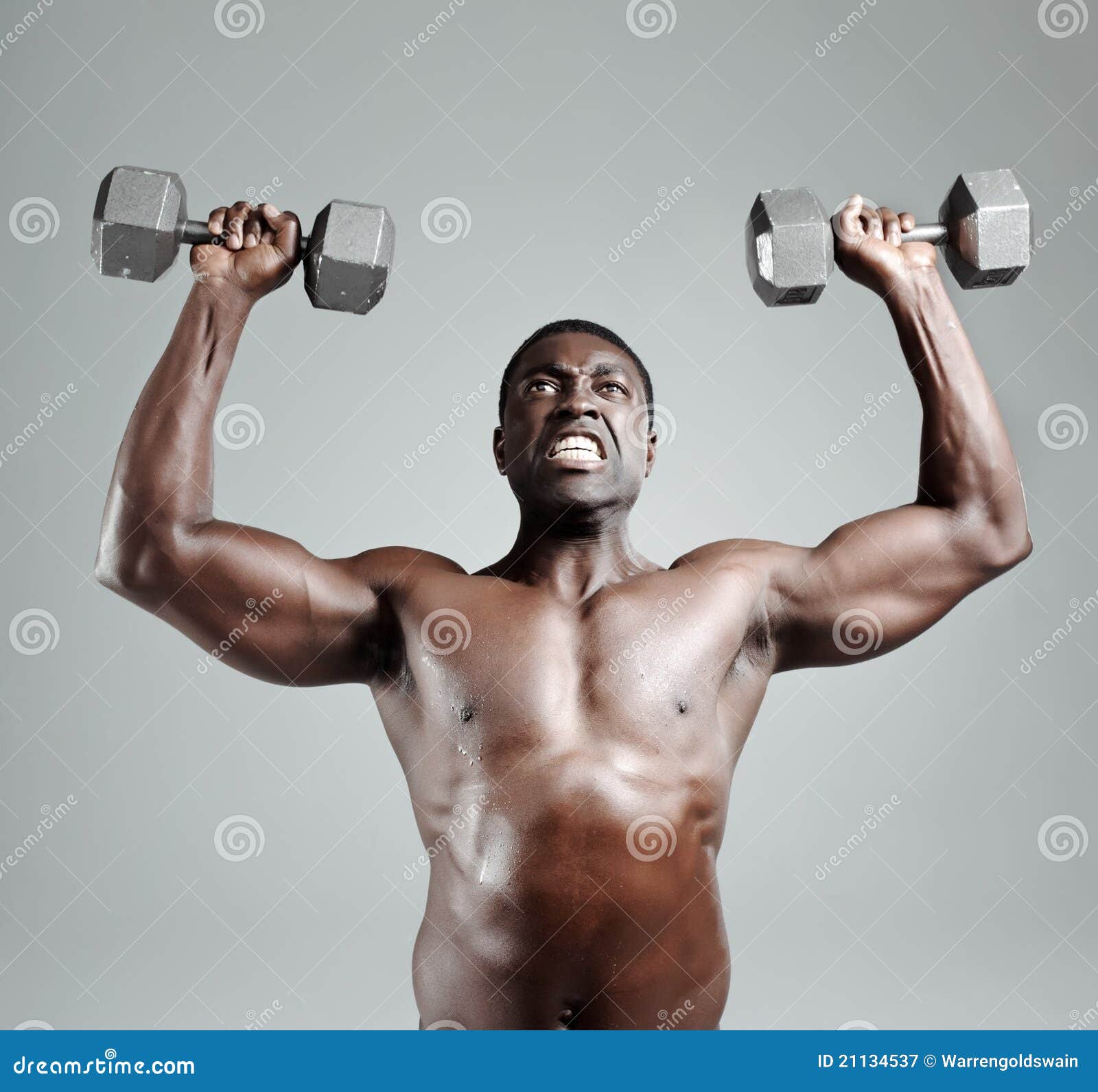 Gym workout stock image. Image of healthy, muscle, attitude - 21134537
